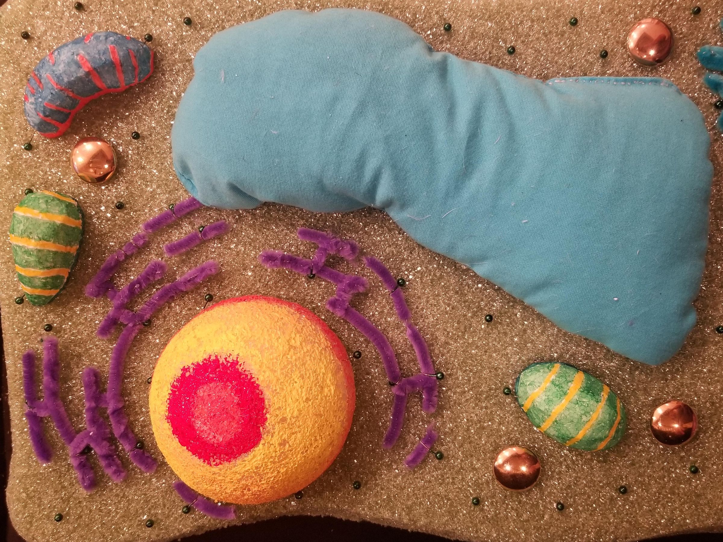 Cell Model Educational Model From Recycled Materials : 5 Steps (with ...