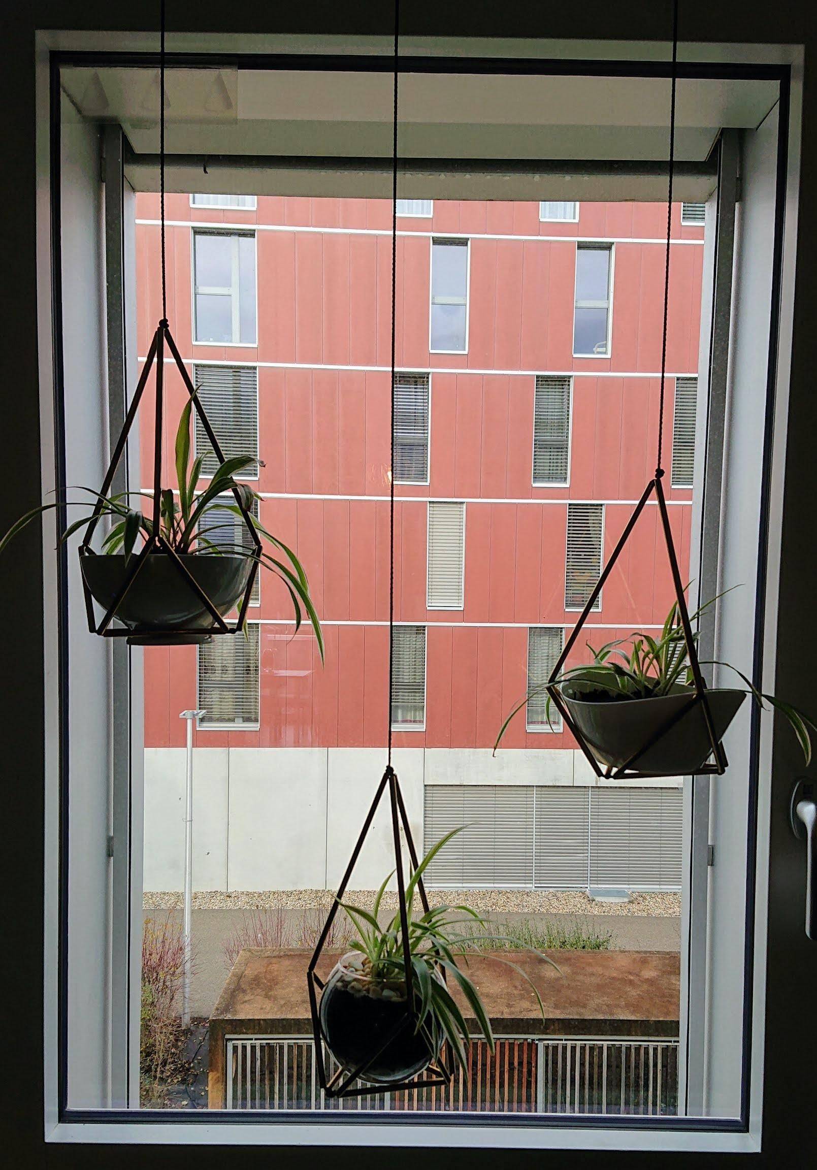 Geometric Plant Hanger : 11 Steps (with Pictures) - Instructables