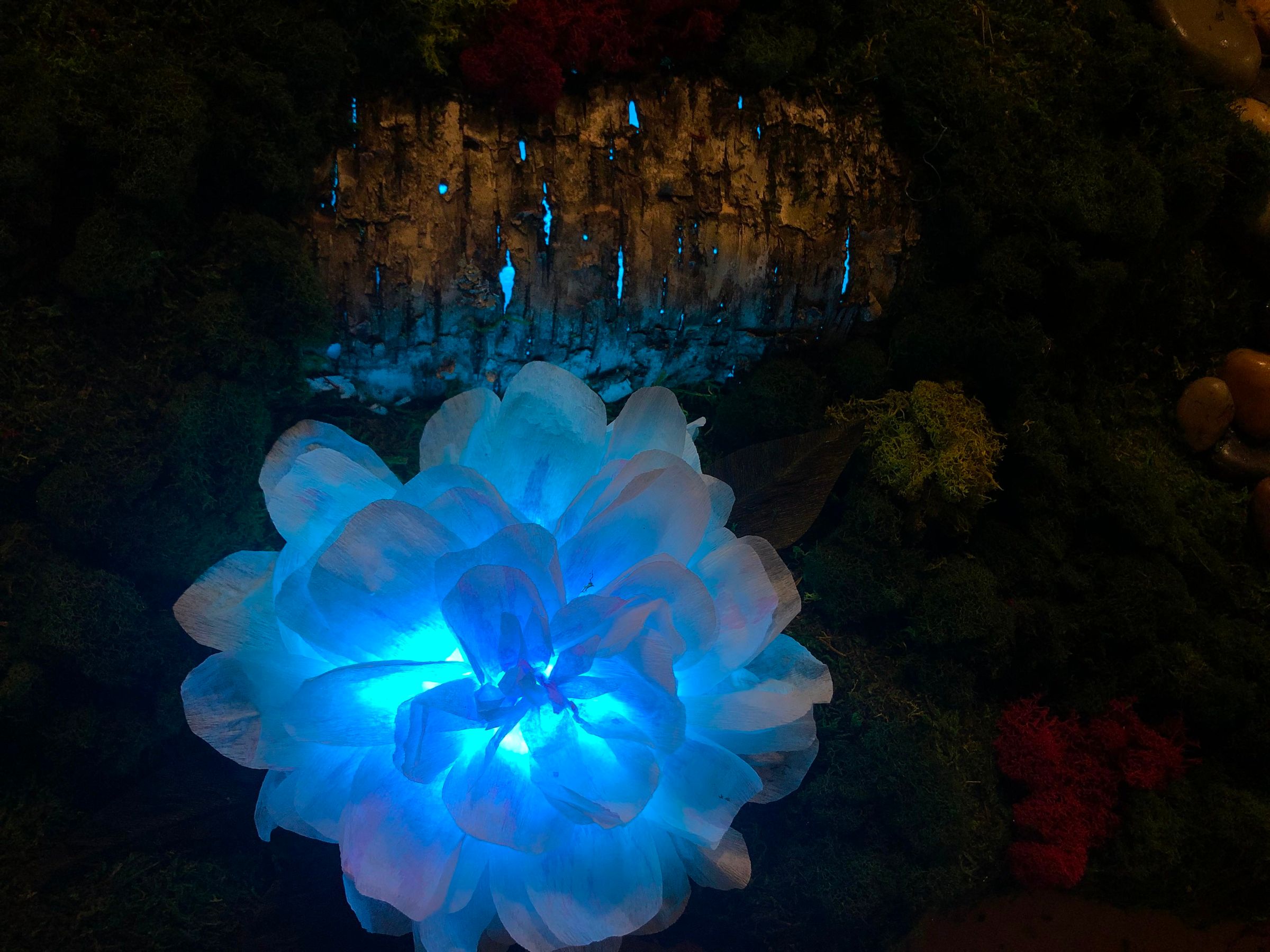 Blue Glowing Flower