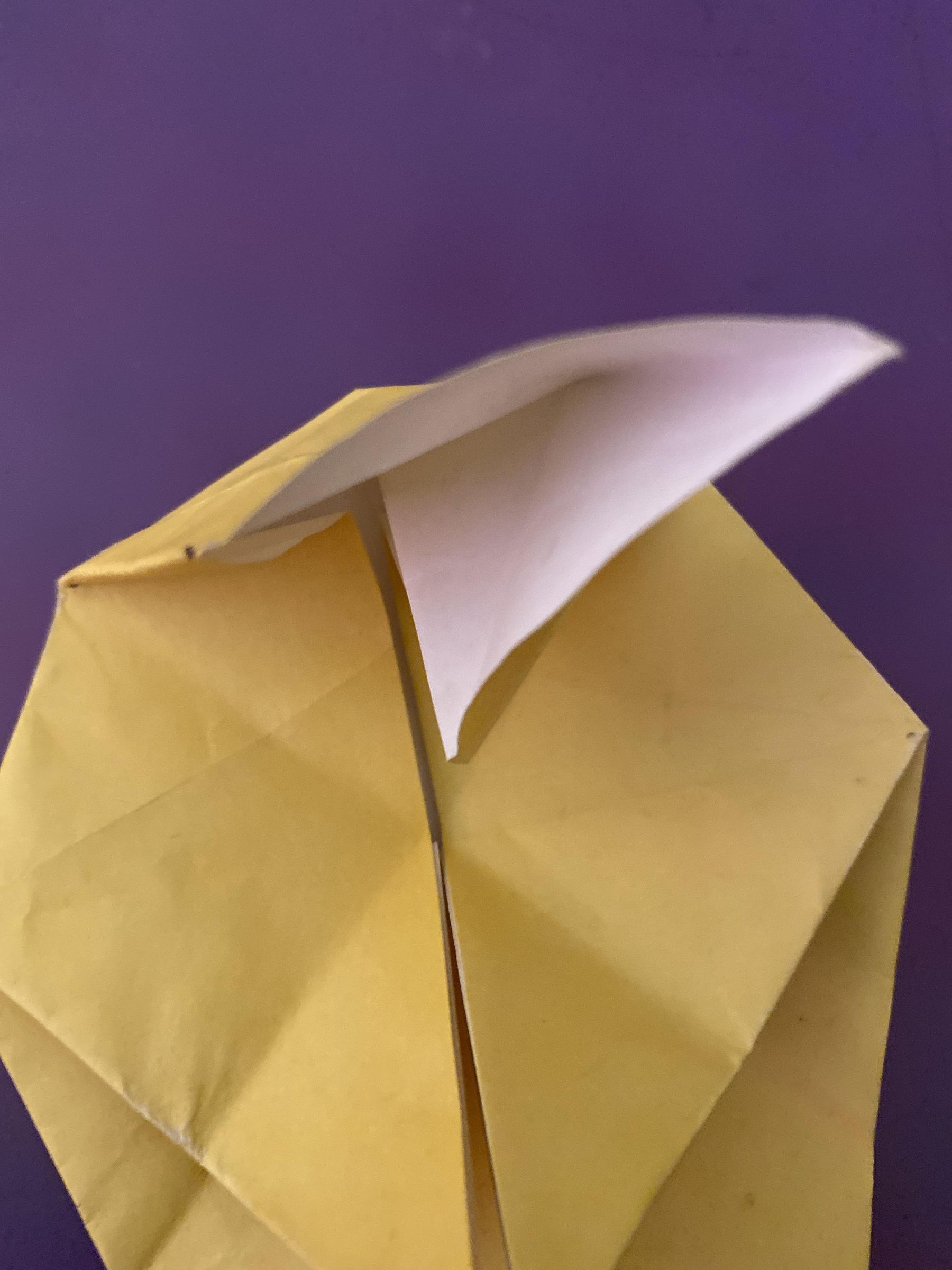 Origami Rat : 27 Steps - Instructables