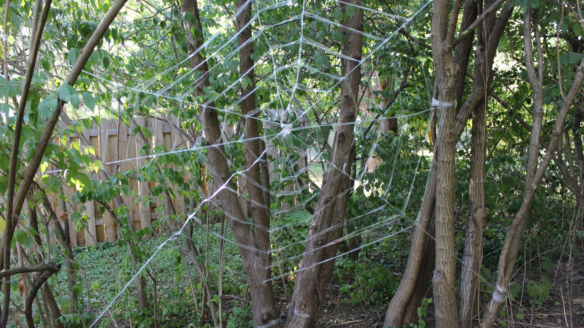 Giant Spider Web : 9 Steps (with Pictures) - Instructables