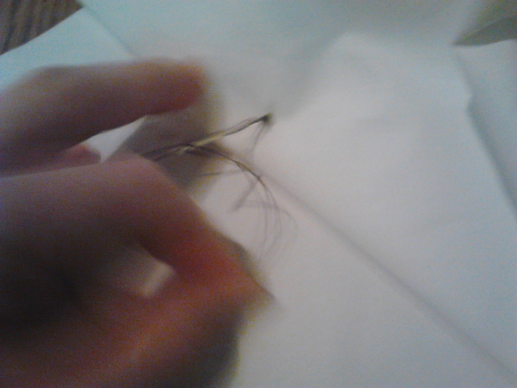 How to Professionally Sew on a Button by Hand : 14 Steps - Instructables