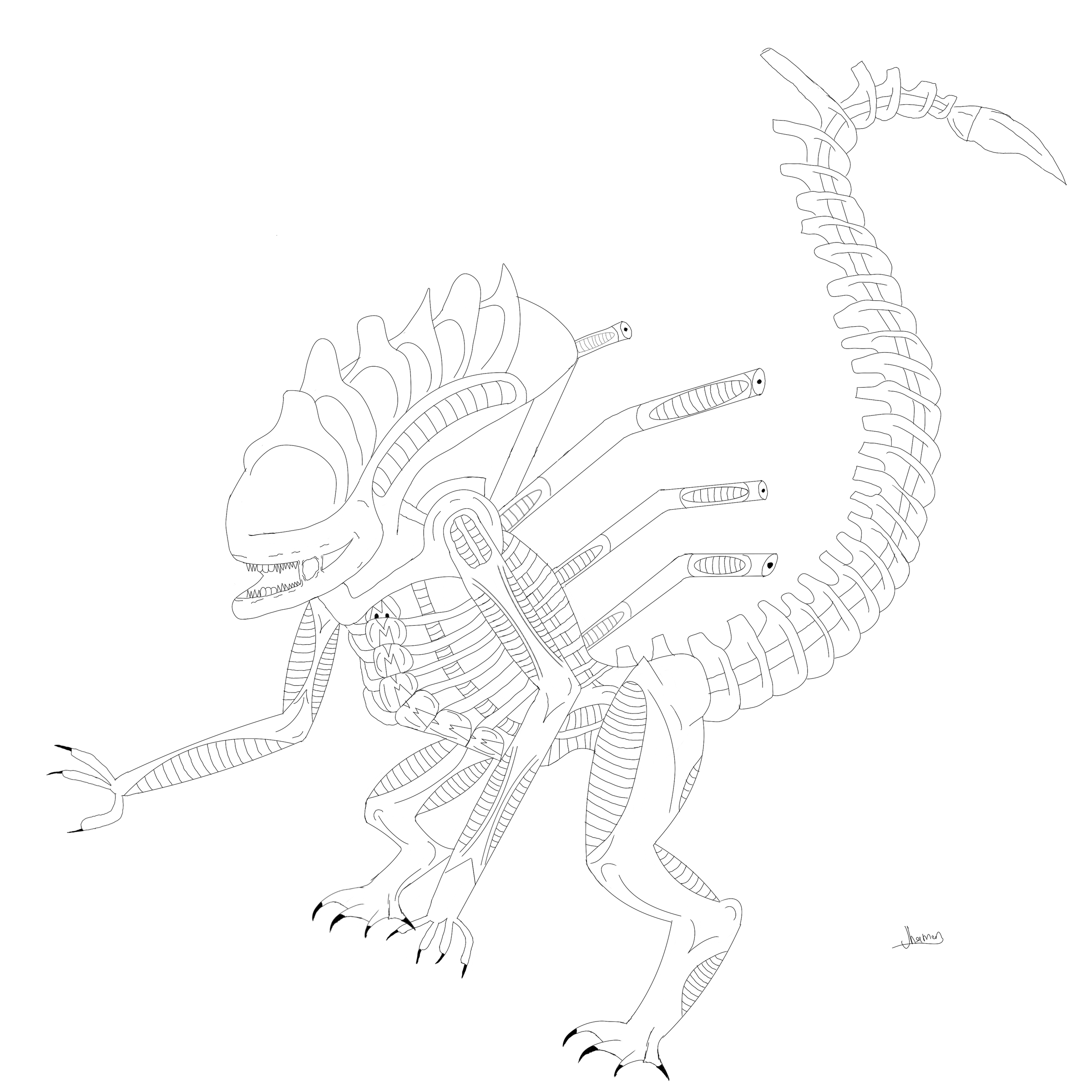 How to Draw a Xenomorph (warrior) : 8 Steps - Instructables