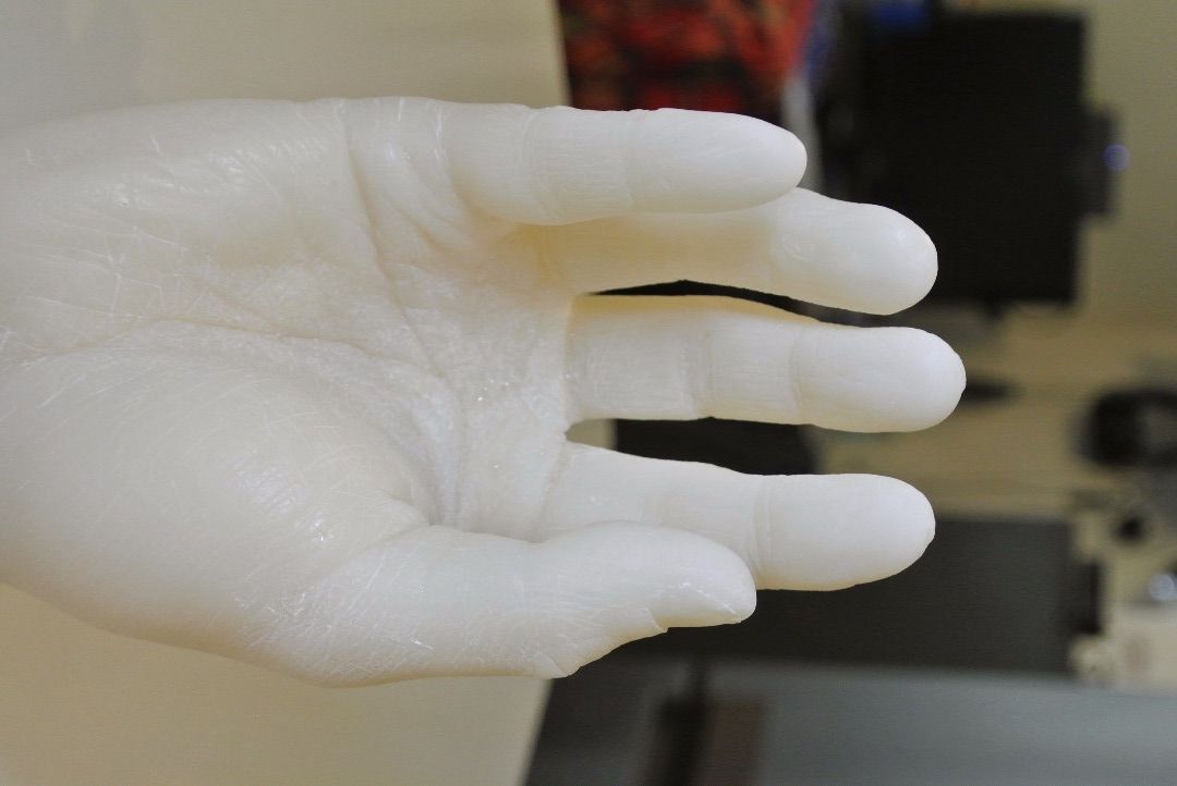 How to Lifecast a Hand With Alginate : 7 Steps (with Pictures ...