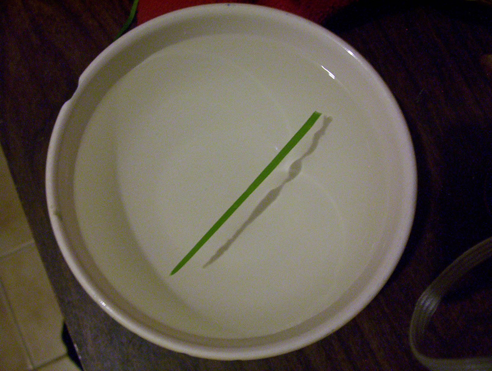 DIY Compass : 5 Steps - Instructables