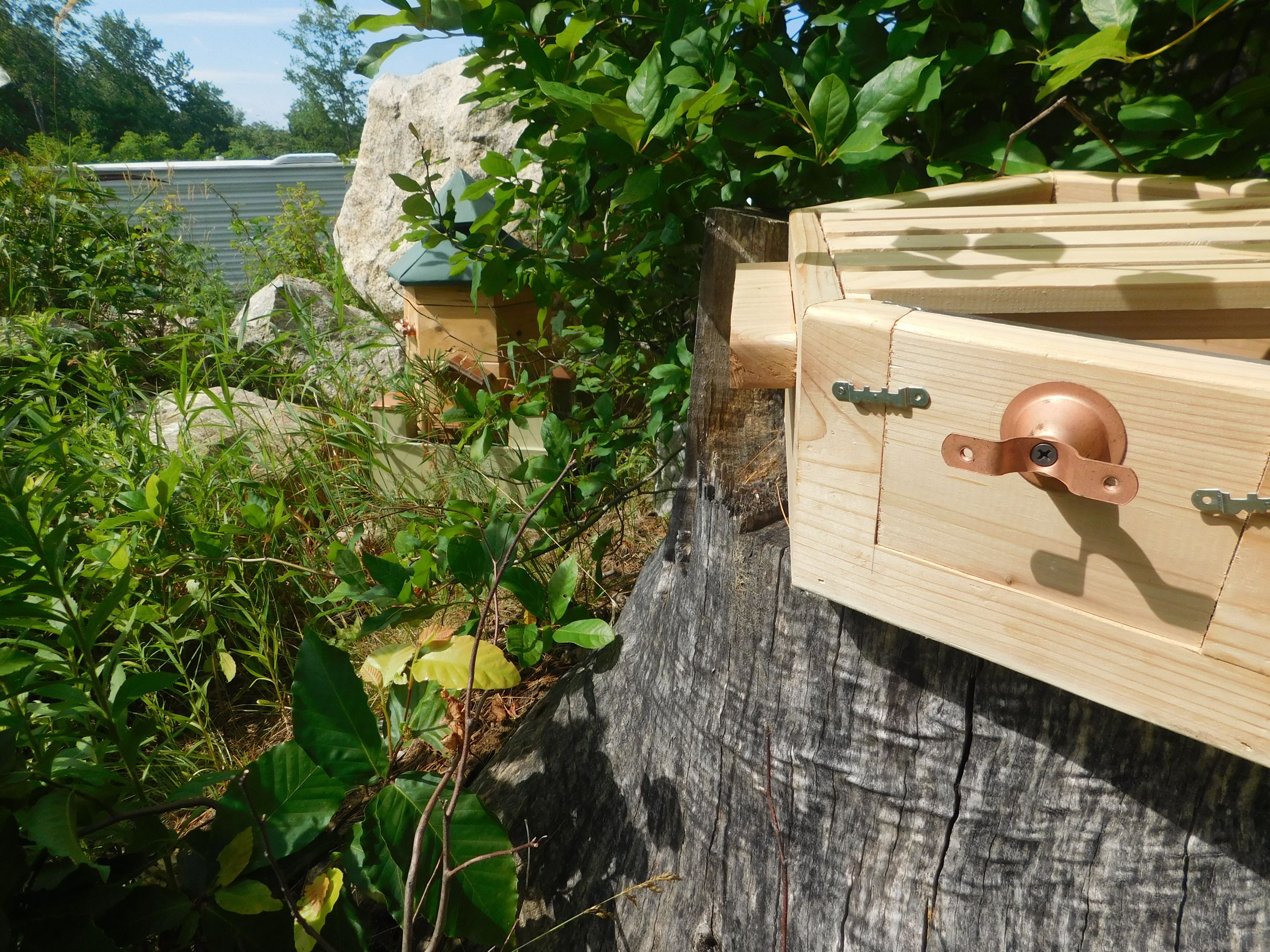 Observation Window for Hexagonal Beehive : 8 Steps (with Pictures ...