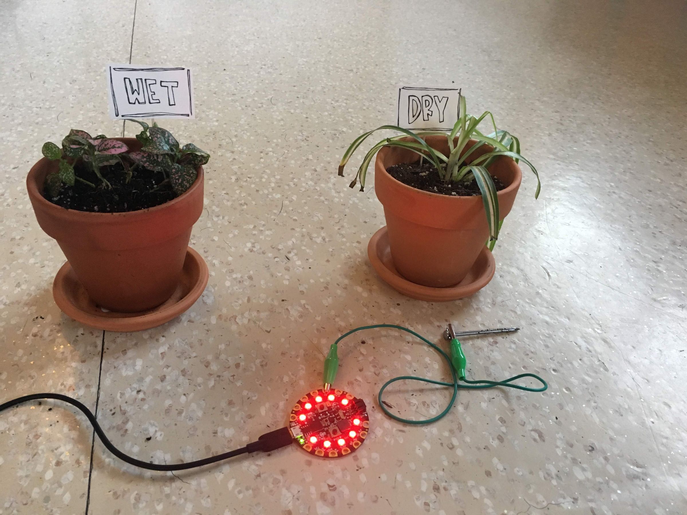 Soil Moisture Detecting Pot for House Plants : 5 Steps - Instructables