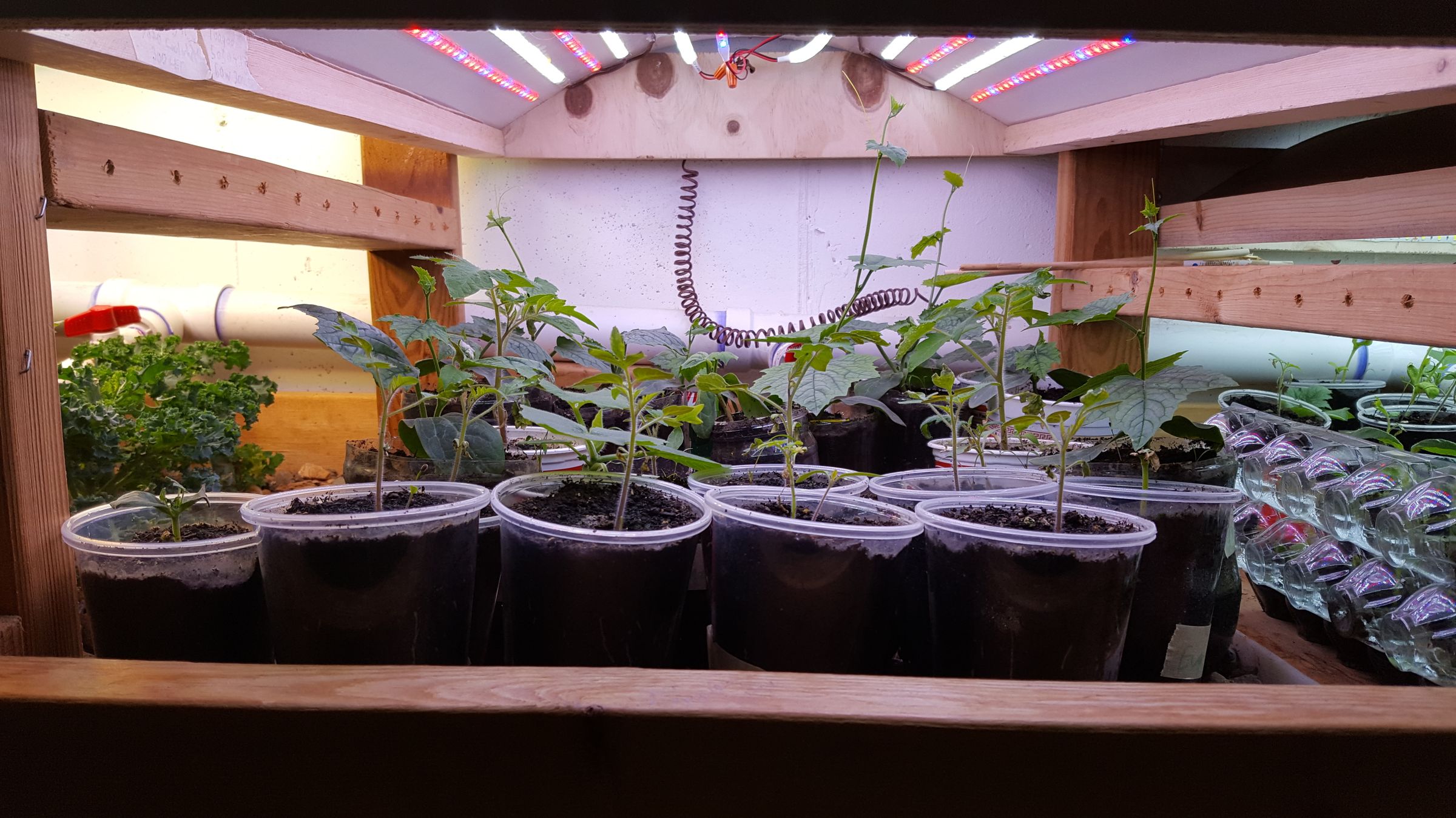 DIY LED Grow Light : 4 Steps (with Pictures) - Instructables