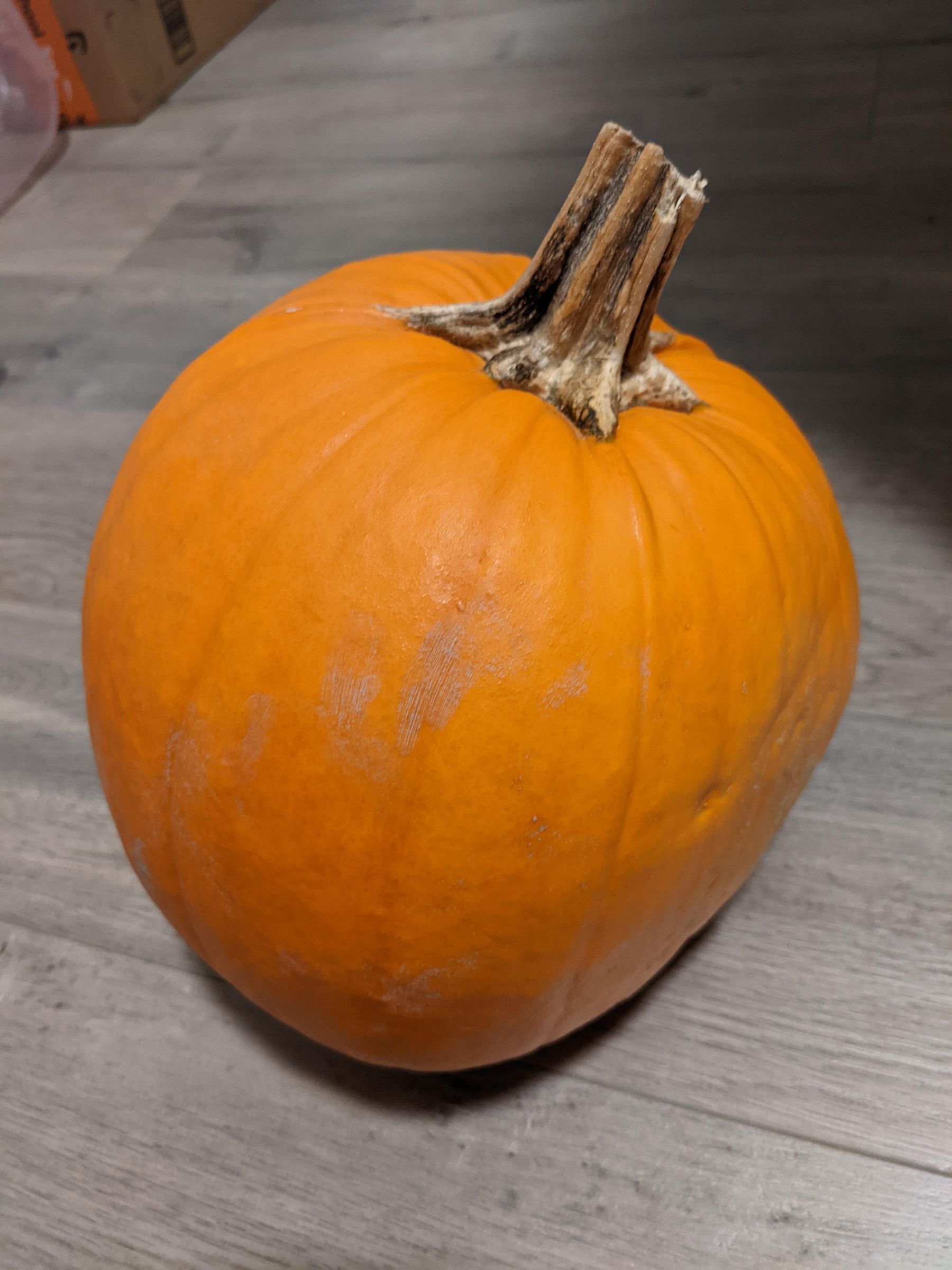 Laser Cut Pumpkin Lantern : 4 Steps (with Pictures) - Instructables