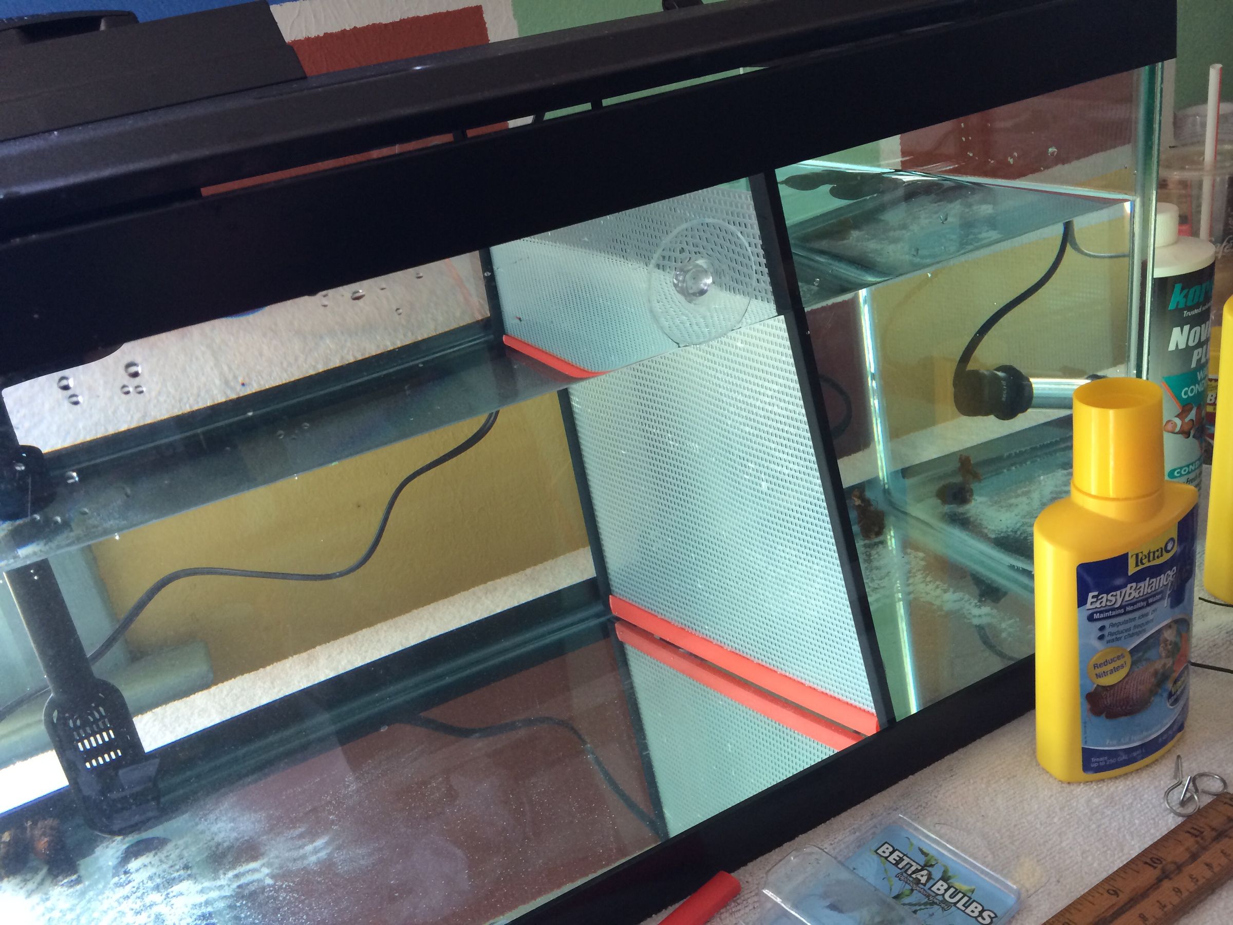 Fish Tank Dividers : 3 Steps (with Pictures) - Instructables