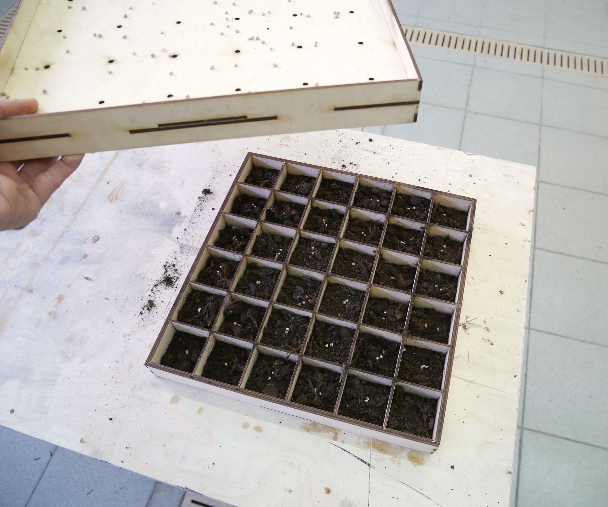 Seedling System : 6 Steps - Instructables