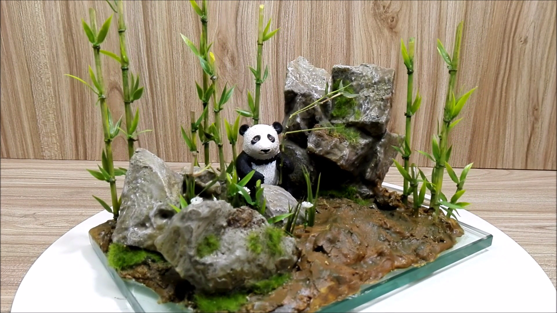 Giant Panda Habitat Diorama