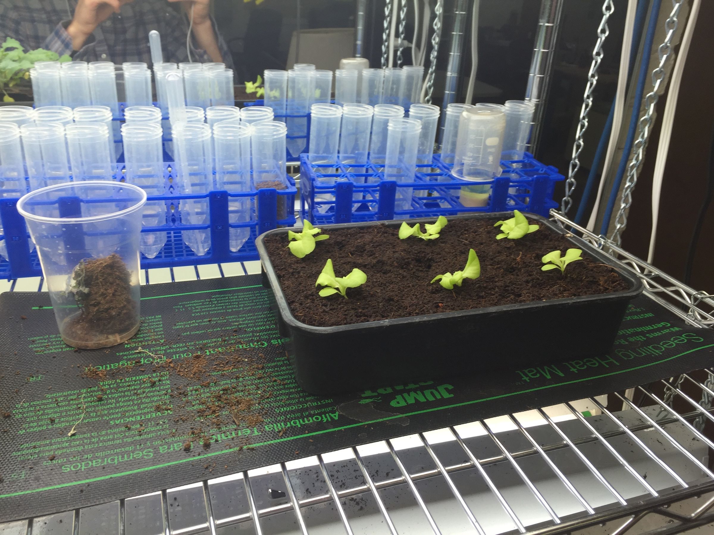 Desktop Gardening, Plantbot Alpha : 5 Steps - Instructables