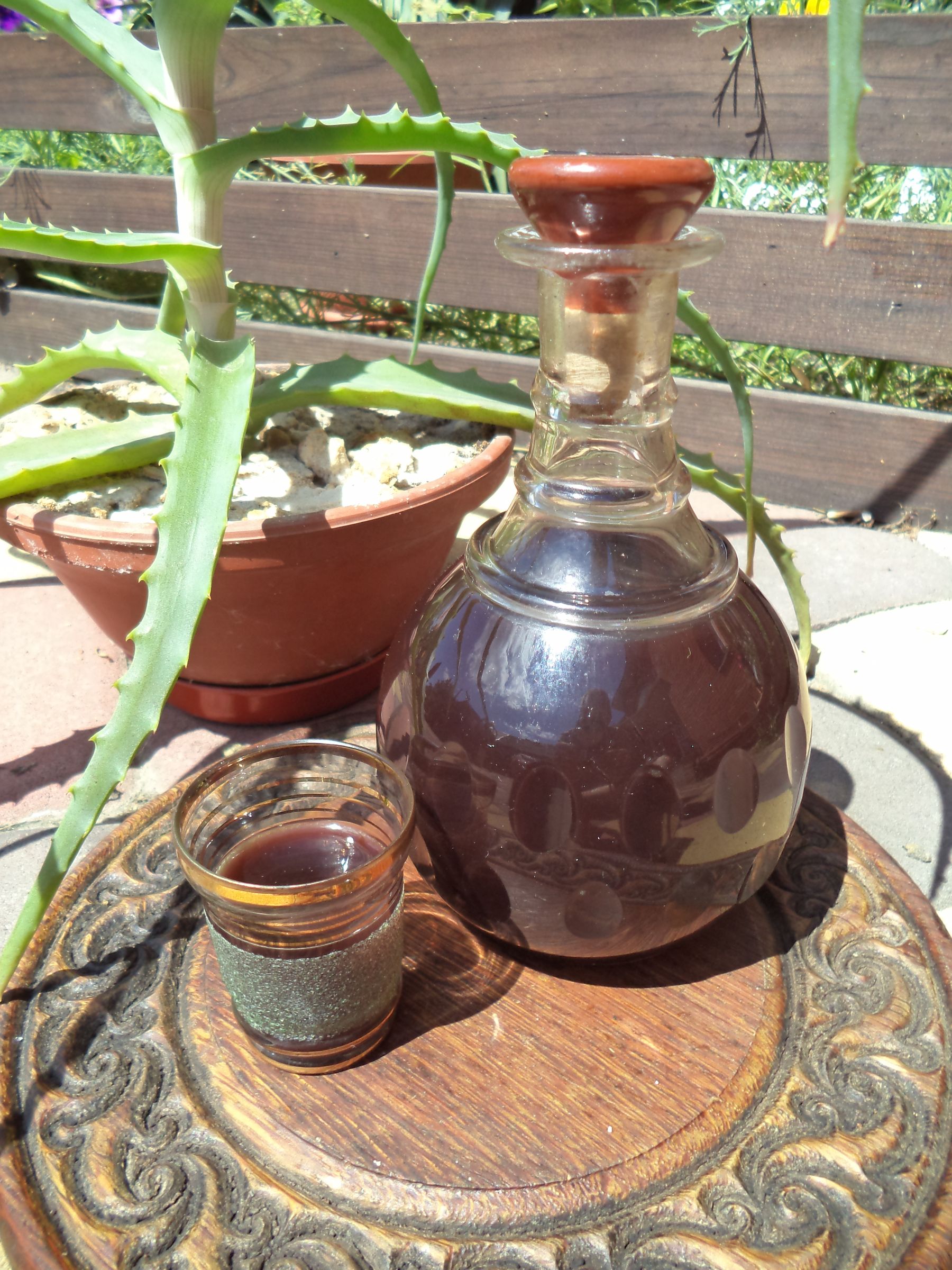 Aloe Based Tonicizing Tincture : 9 Steps - Instructables