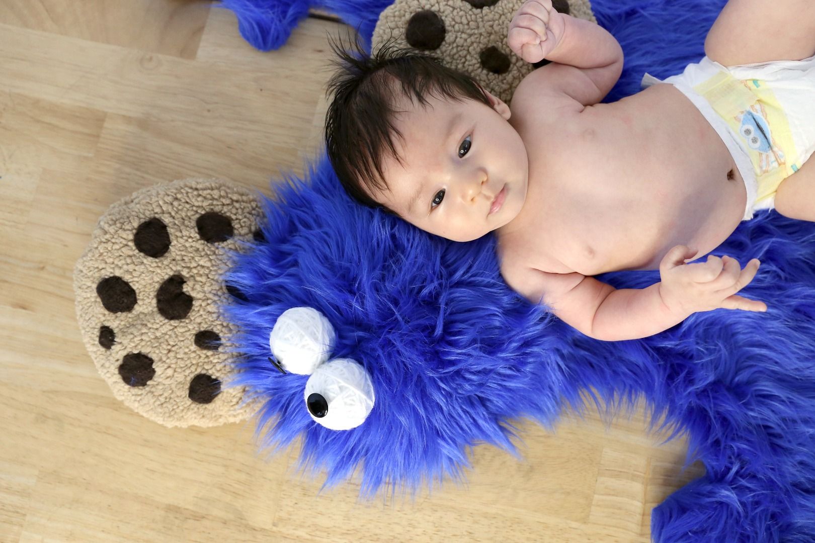 Cookie Monster Rug : 21 Steps (with Pictures) - Instructables