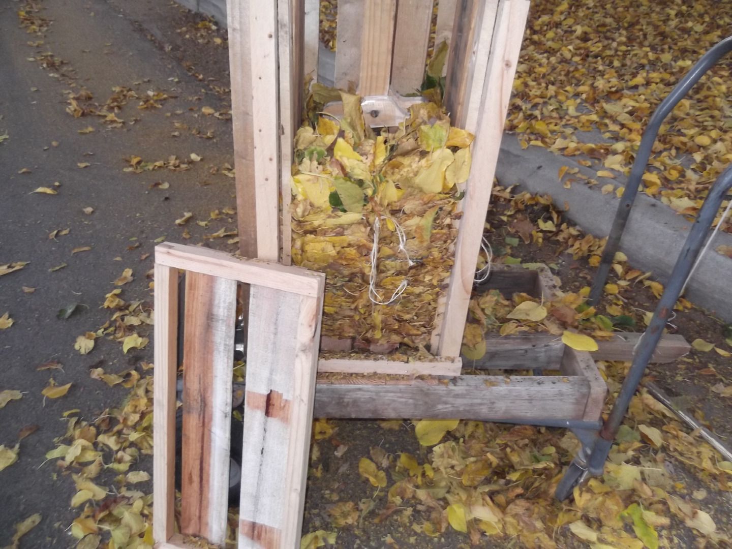 Baling Fall Leaves : 7 Steps (with Pictures) - Instructables