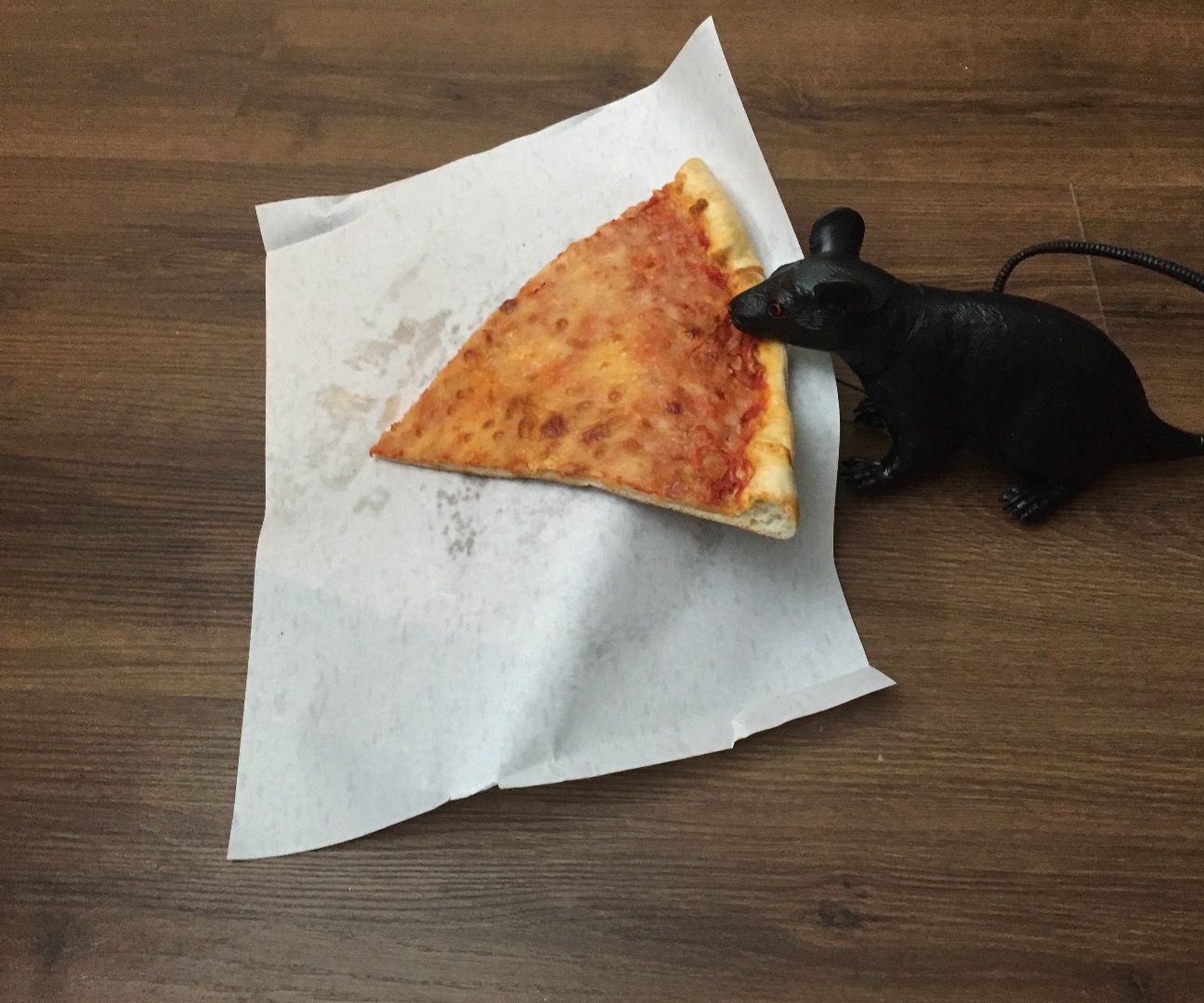 Pizza Rat : 4 Steps (with Pictures) - Instructables