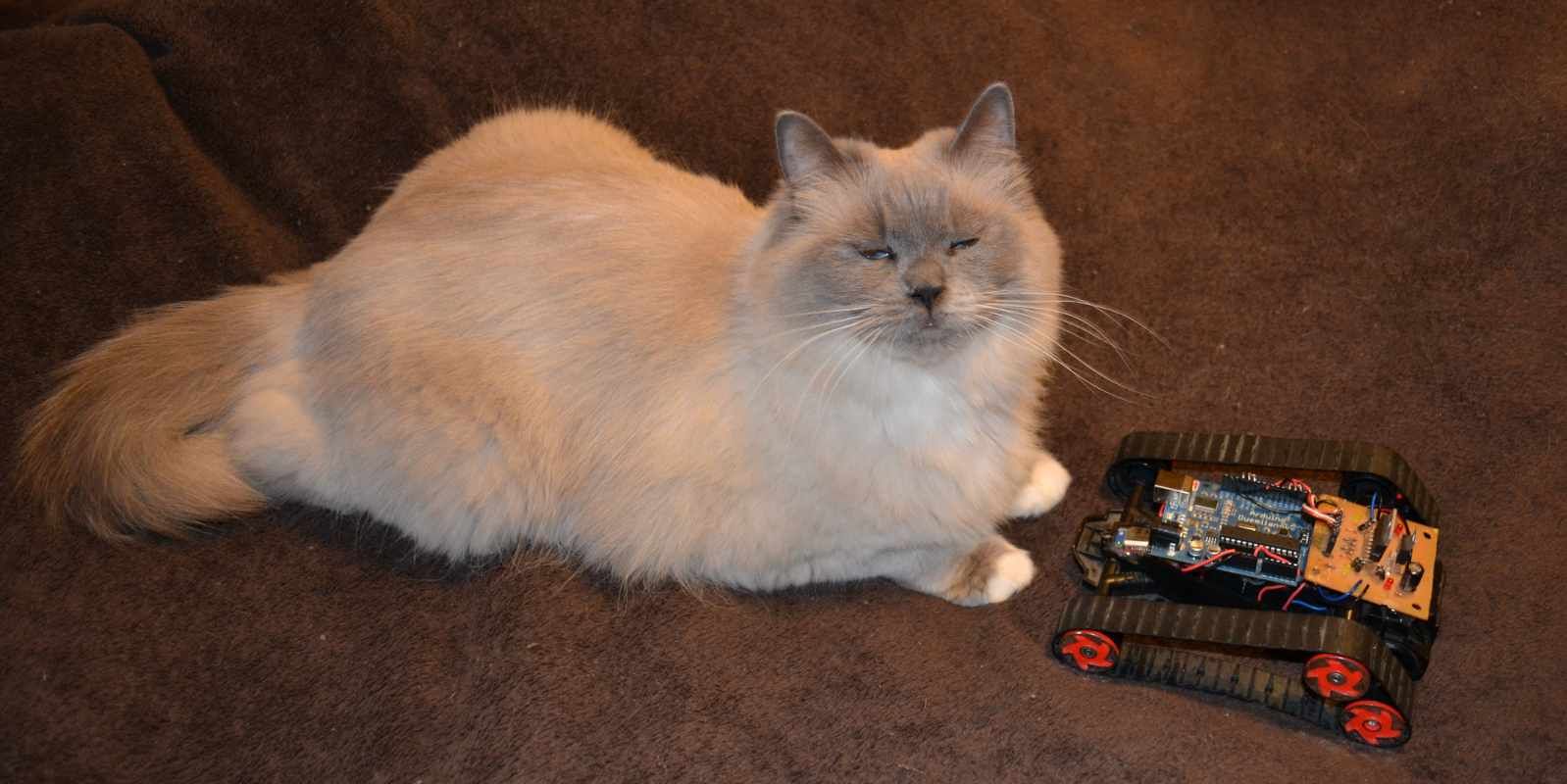 Arduino Controlled Bluetooth-bot : 4 Steps - Instructables