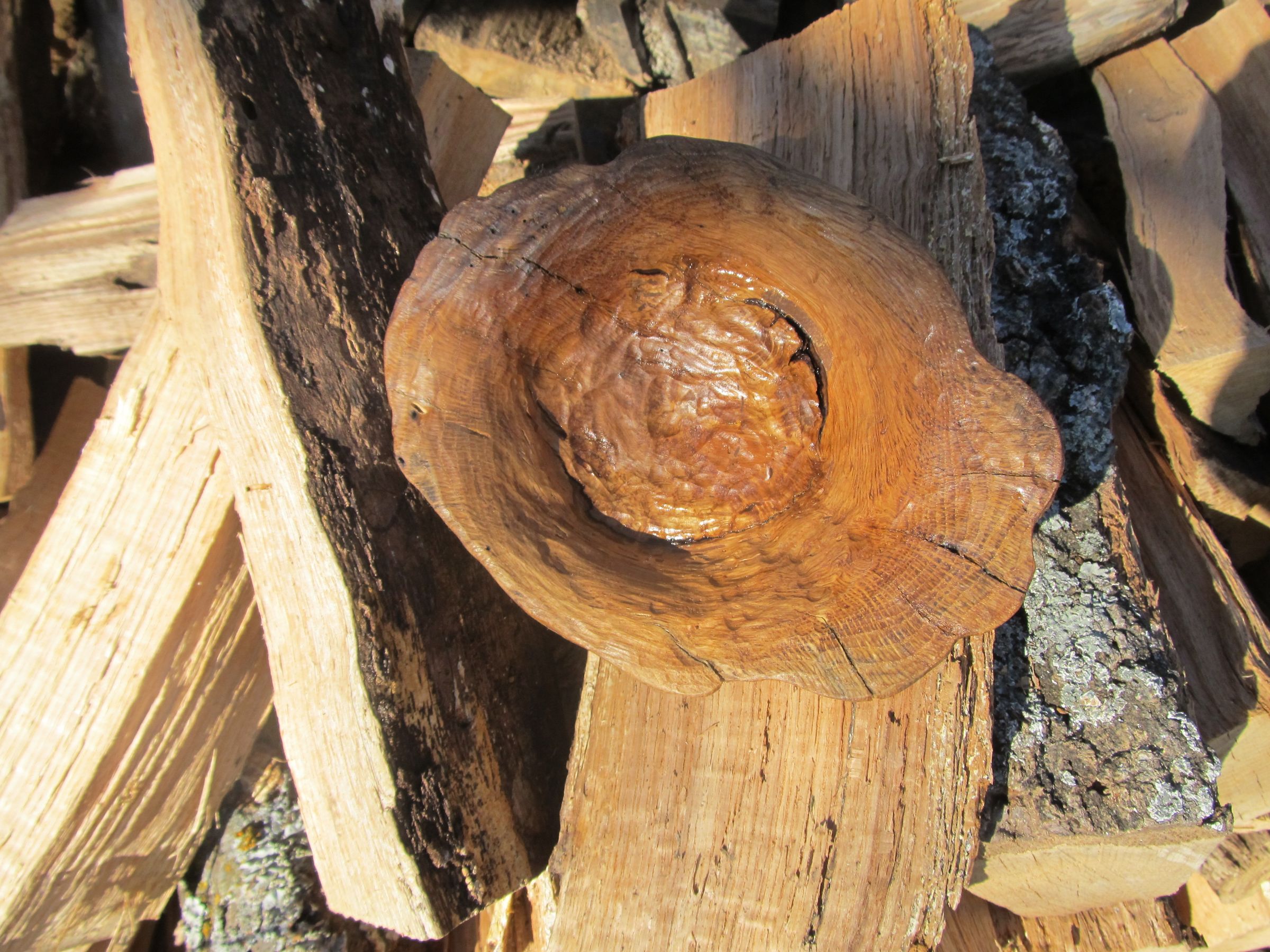Making a Burl Bowl : 7 Steps (with Pictures) - Instructables