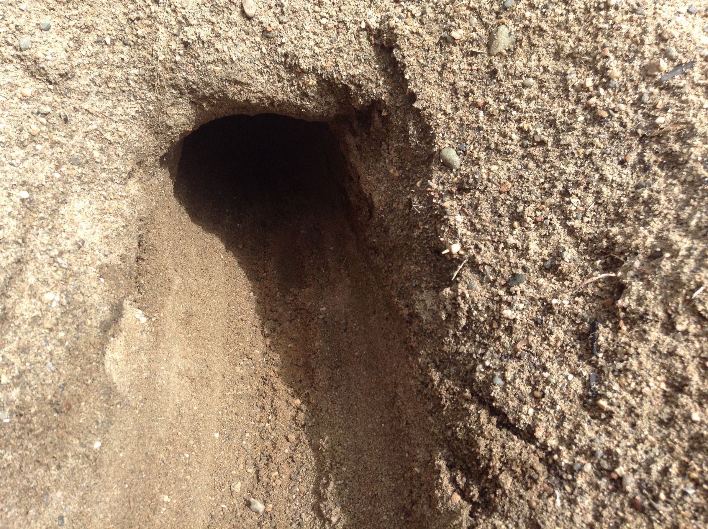 Sand Rocket Stove : 8 Steps - Instructables