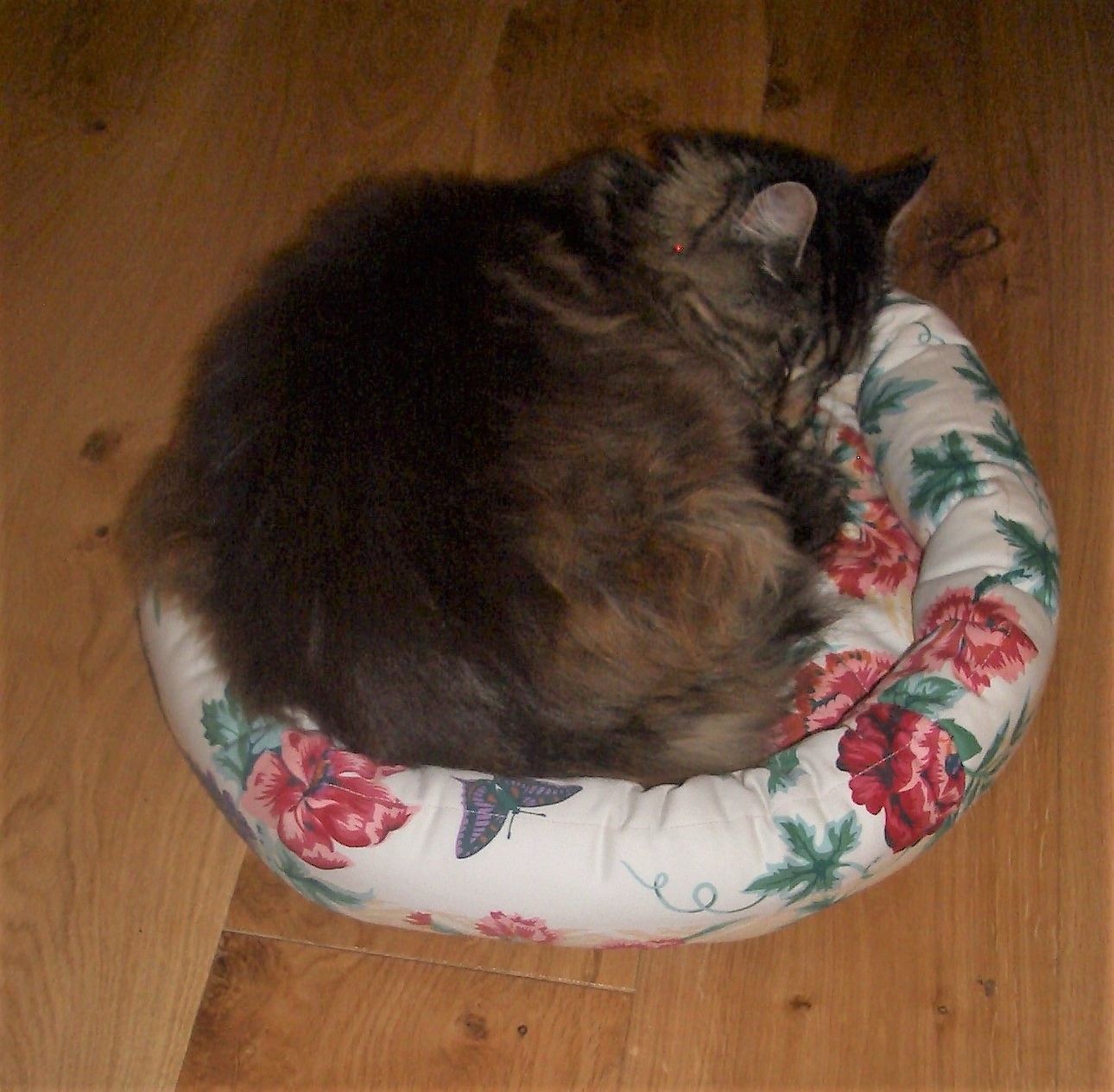 A Classy Cat Bed : 6 Steps (with Pictures) - Instructables