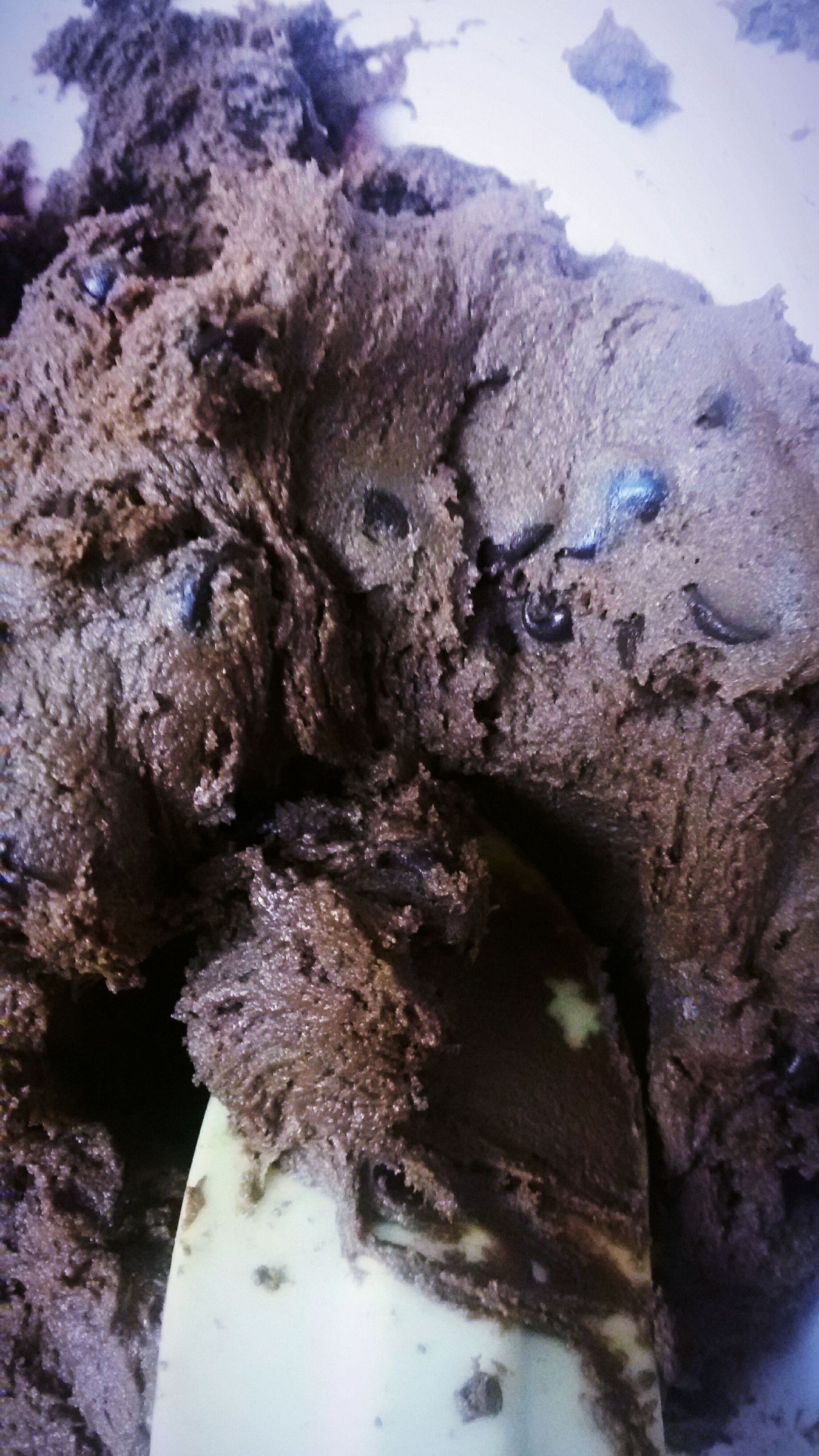 Chocolicious Double Chocco Chip Cookies : 4 Steps - Instructables