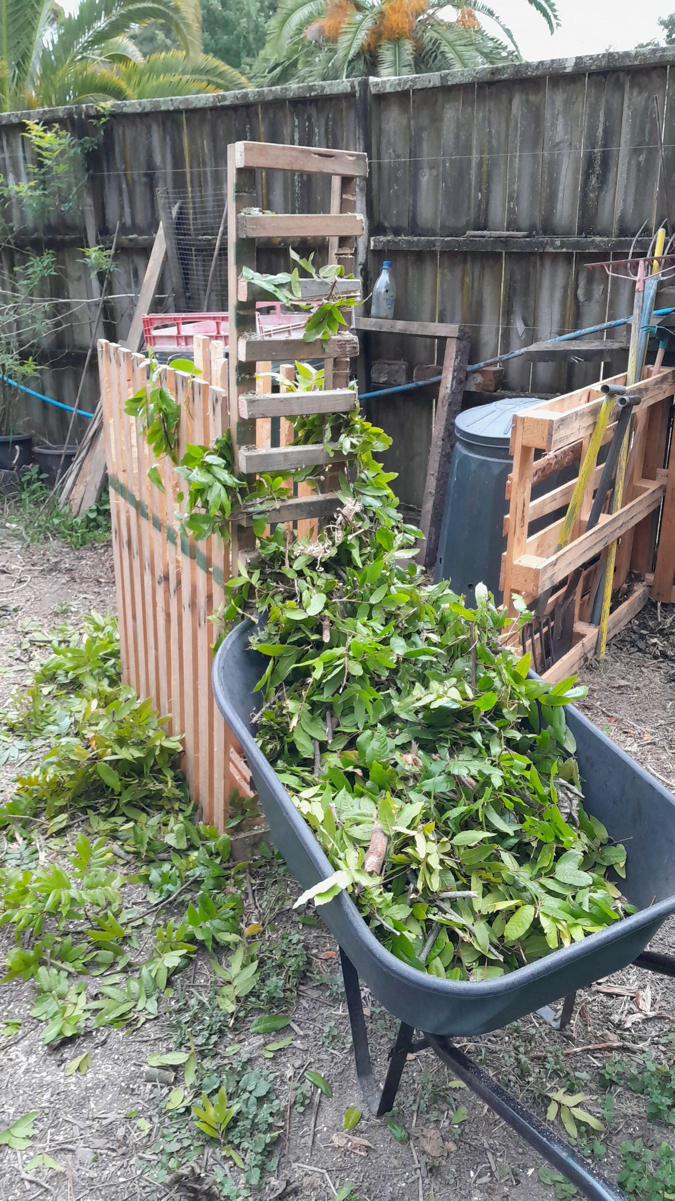 DIY Pallet and Chainsaw Mulching Rack - for Easy Vegetation Shredding ...