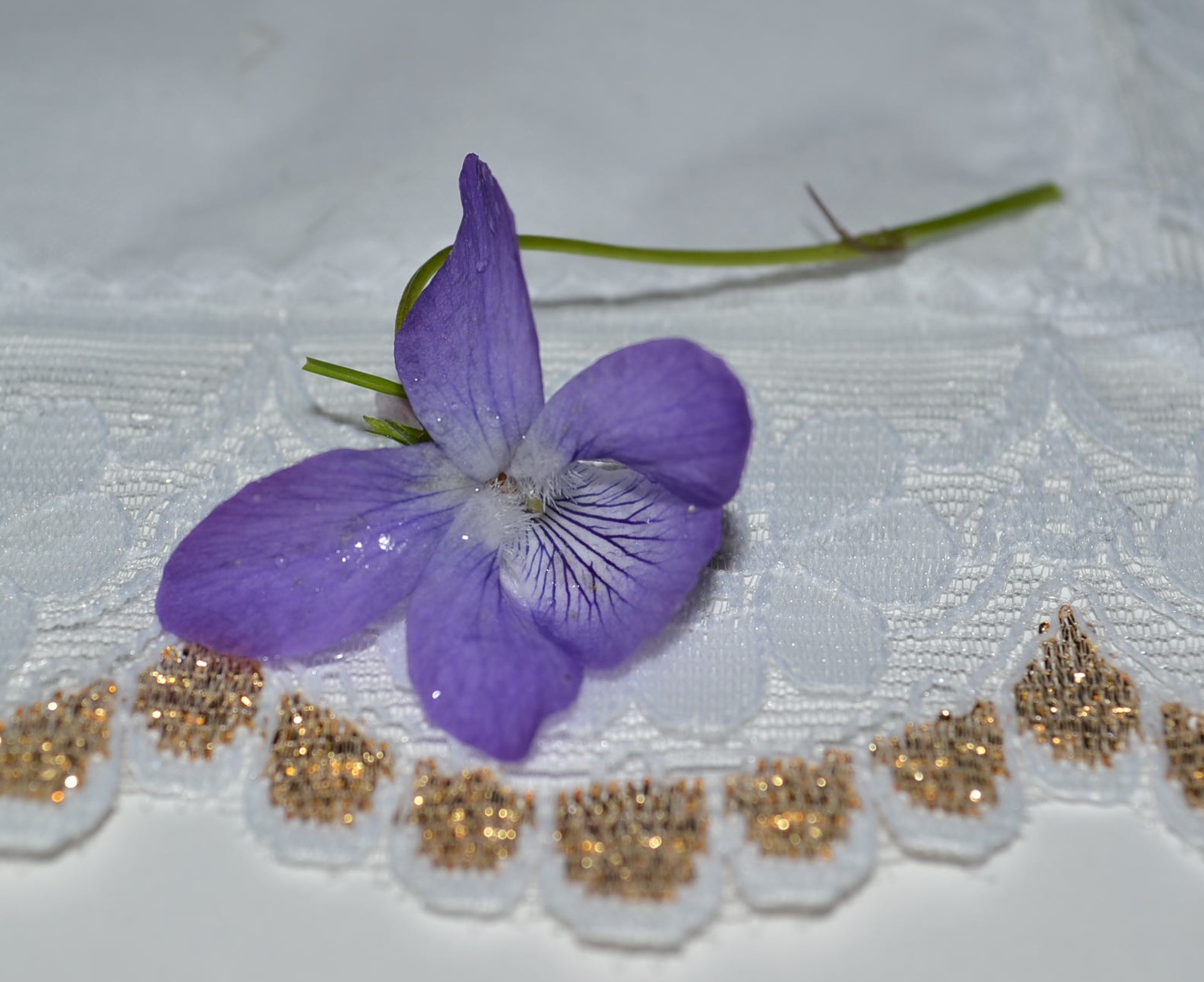 REAL VIOLETS CANDY : 5 Steps - Instructables