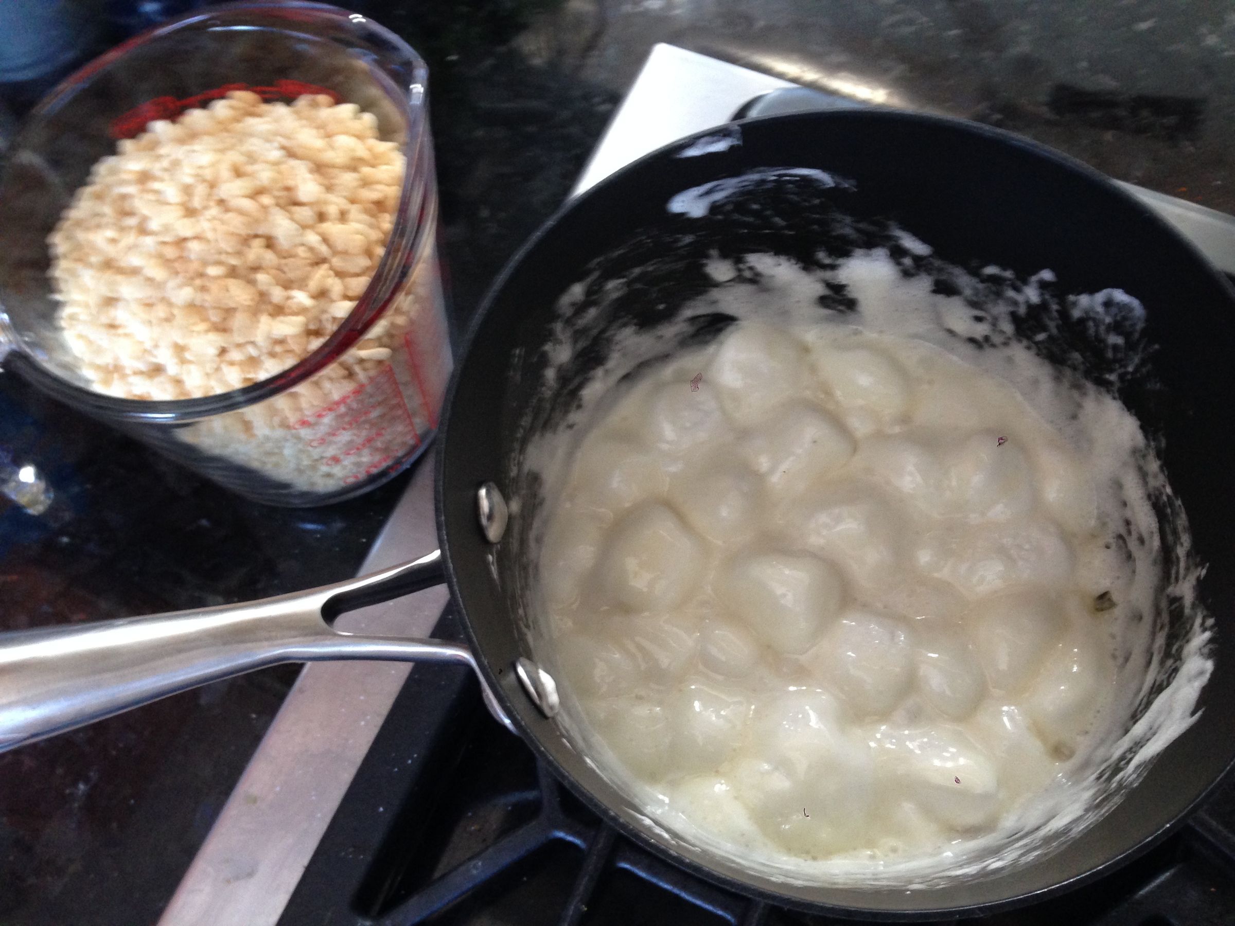 Rice Crispy Critter Treats : 7 Steps (with Pictures) - Instructables