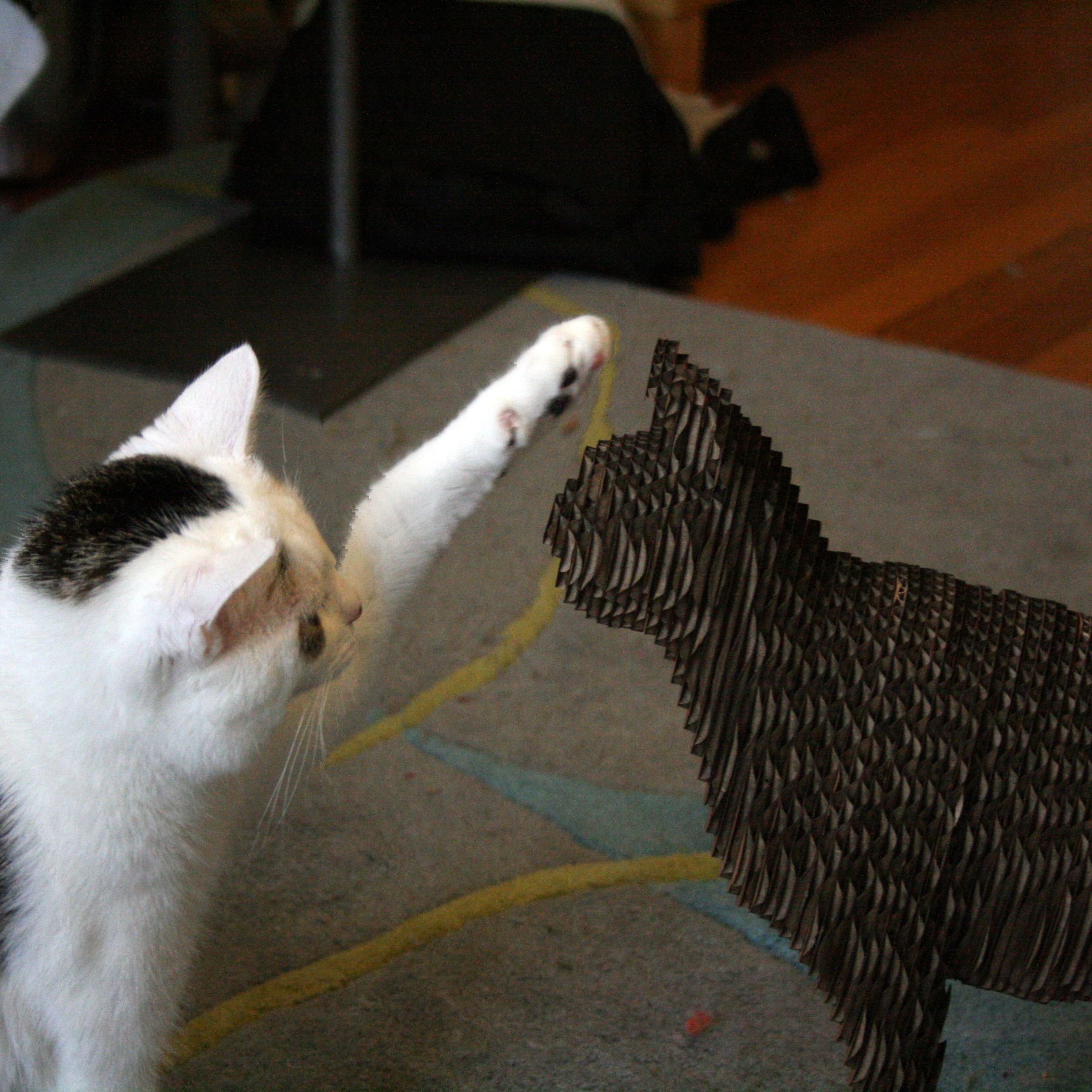 Life Size Cardboard Cat : 3 Steps (with Pictures) - Instructables