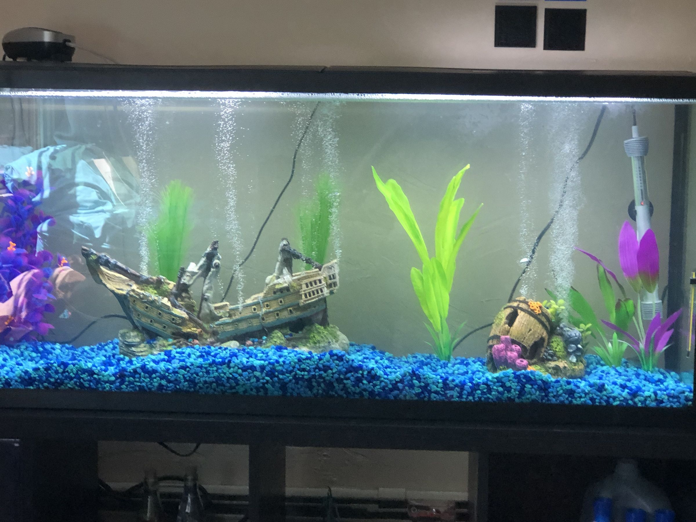 Simple Aquarium Background : 4 Steps - Instructables