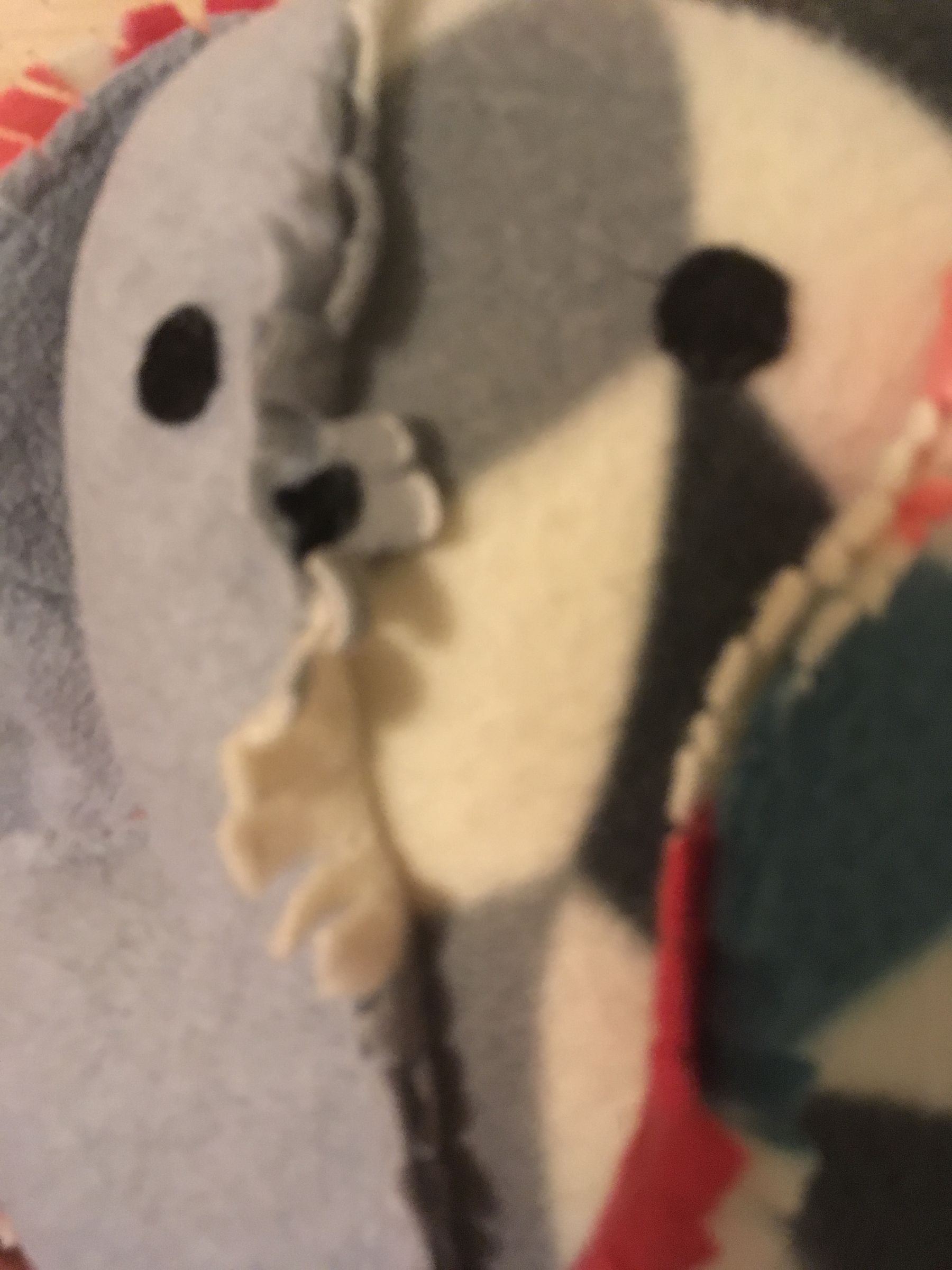 How to Make a Stuffed Bunny : 5 Steps - Instructables
