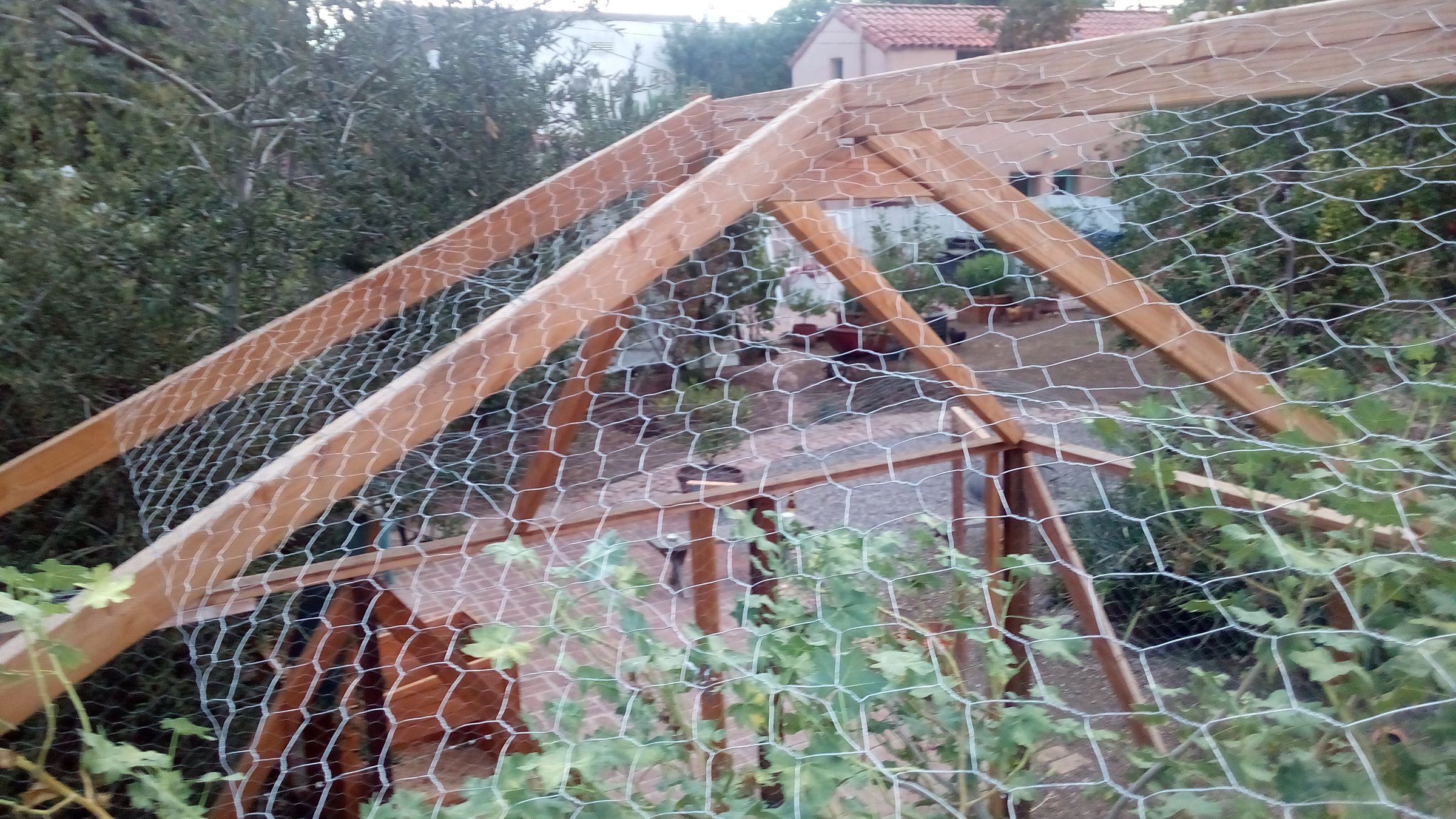 Walk-in Open Air Chicken Coop : 16 Steps (with Pictures) - Instructables