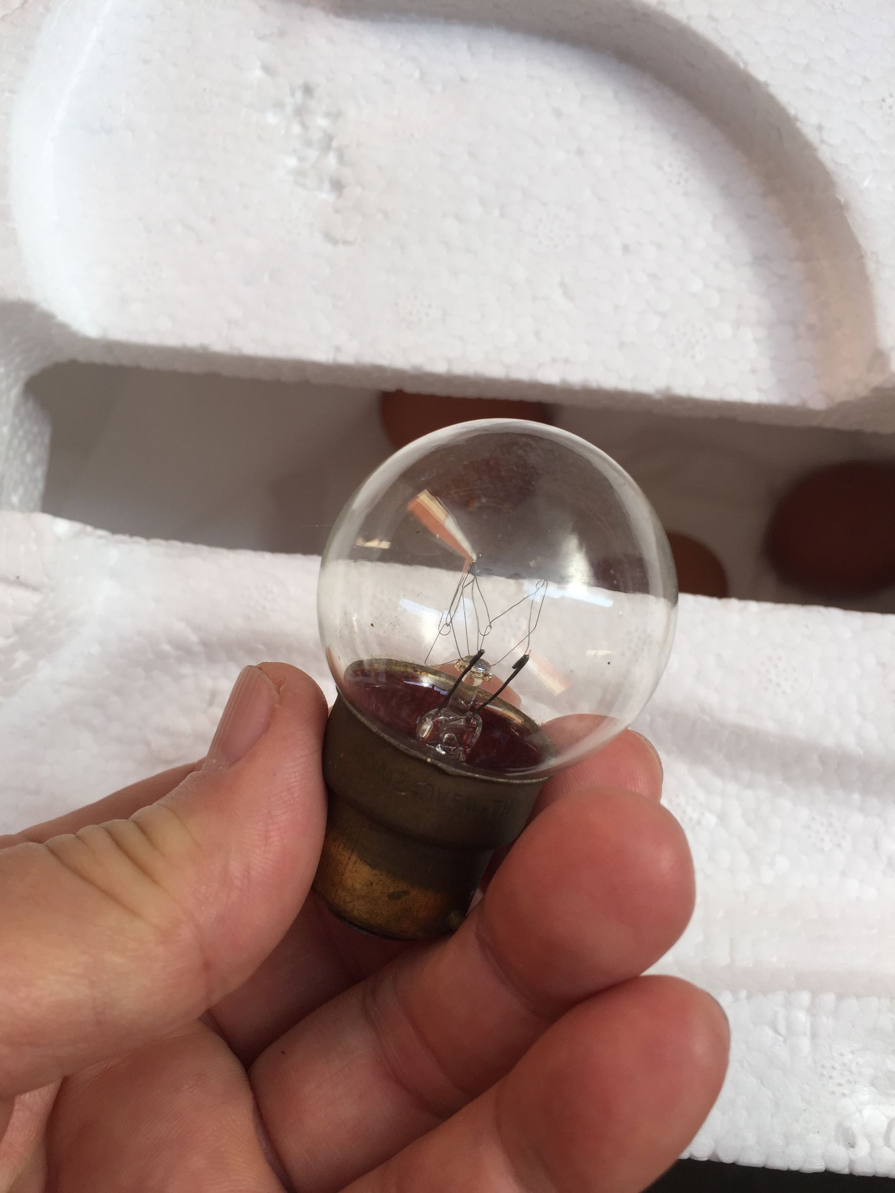 DIY Styrofoam Egg Incubator : 5 Steps - Instructables