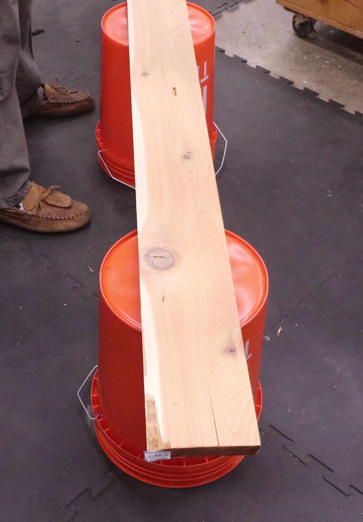 Simple Birdhouse | Easy Quarantine Project With the Kids | FREE PLANS ...