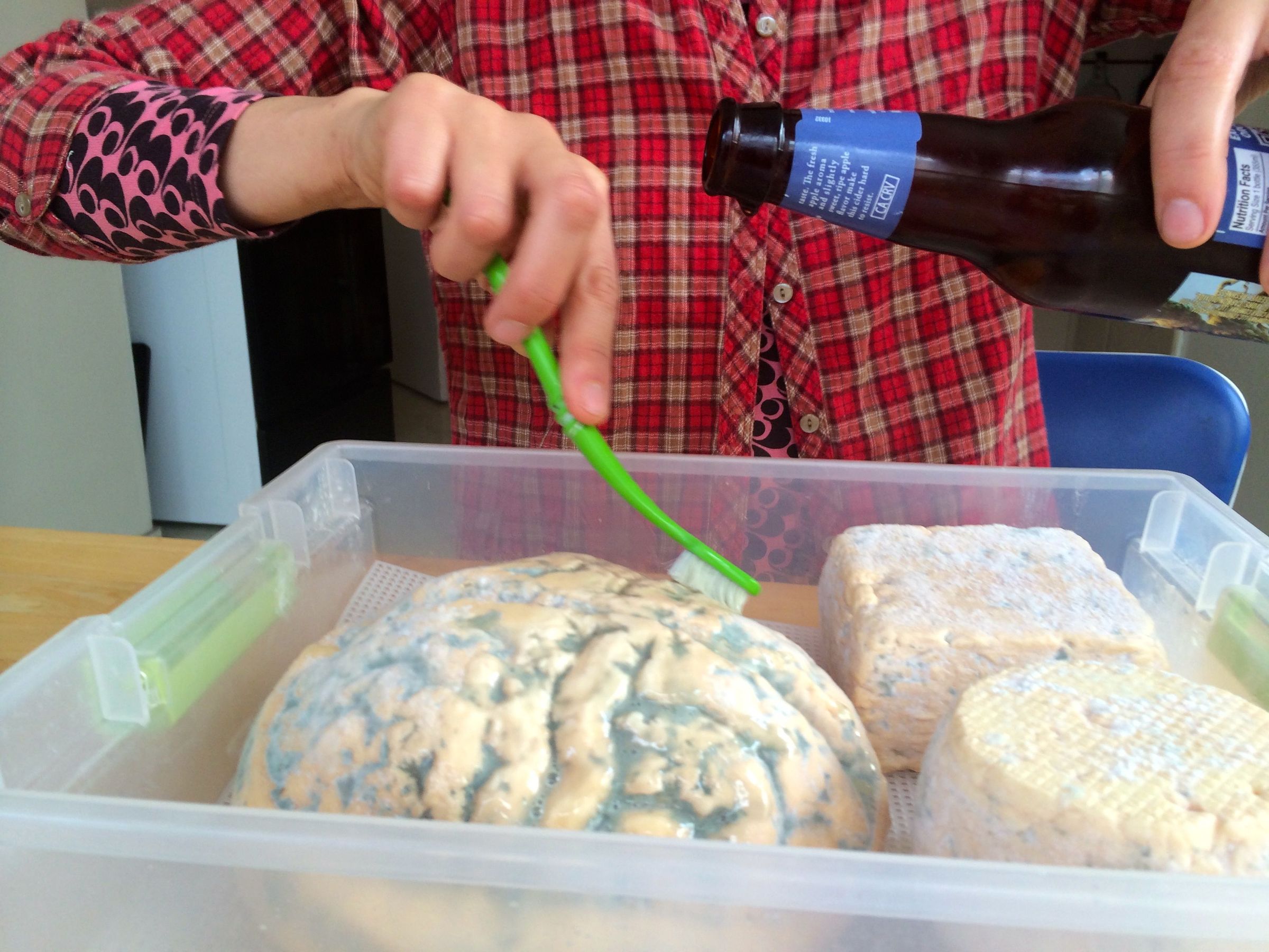 How to Make Beer-Washed Brain Cheese : 9 Steps (with Pictures ...