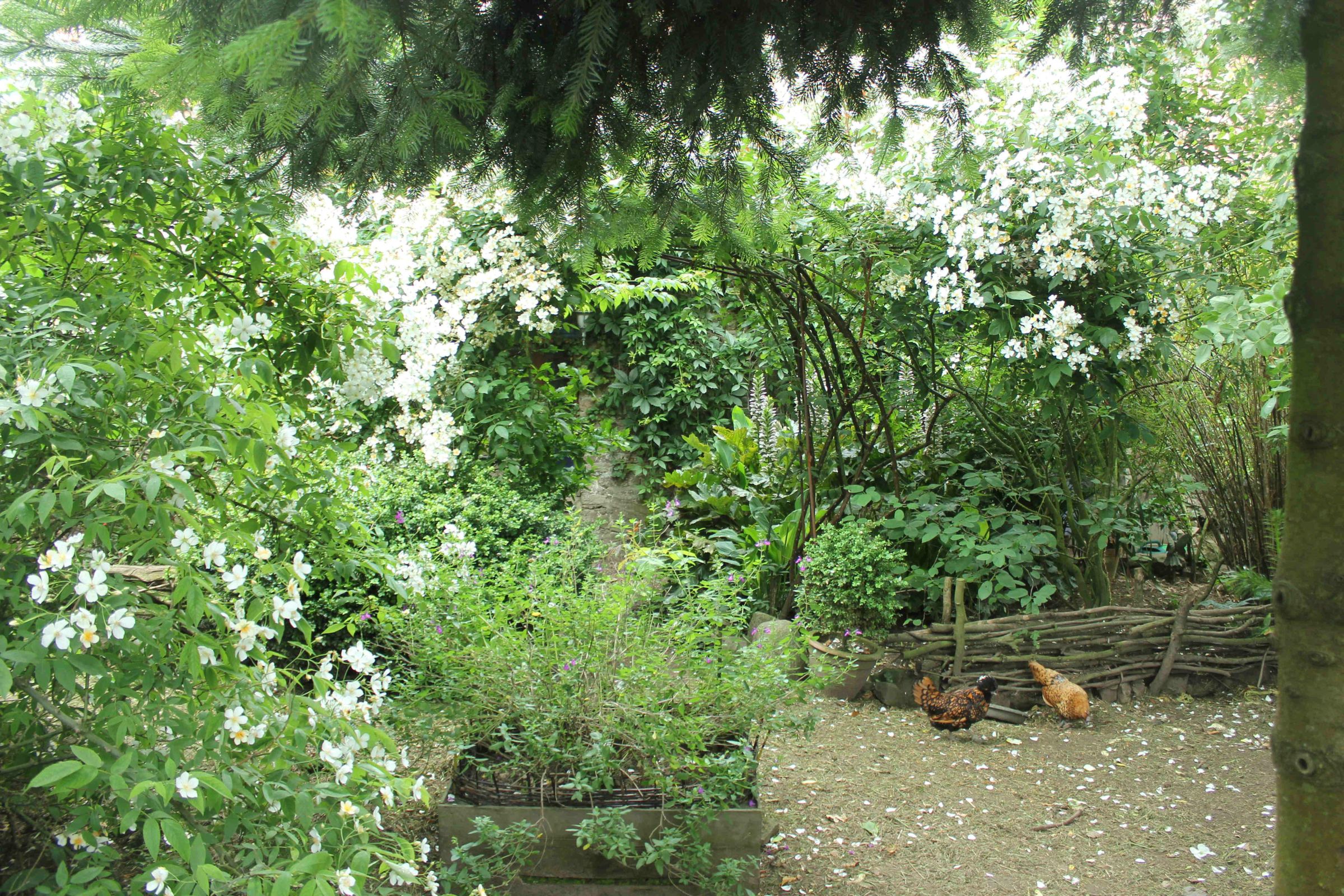 Simple, Elegant Steel Bar Rose Arch : 7 Steps (with Pictures ...