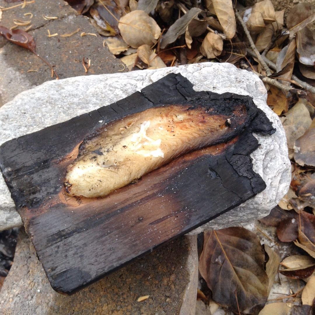 How to Cook Campfire Planked Fish : 4 Steps - Instructables