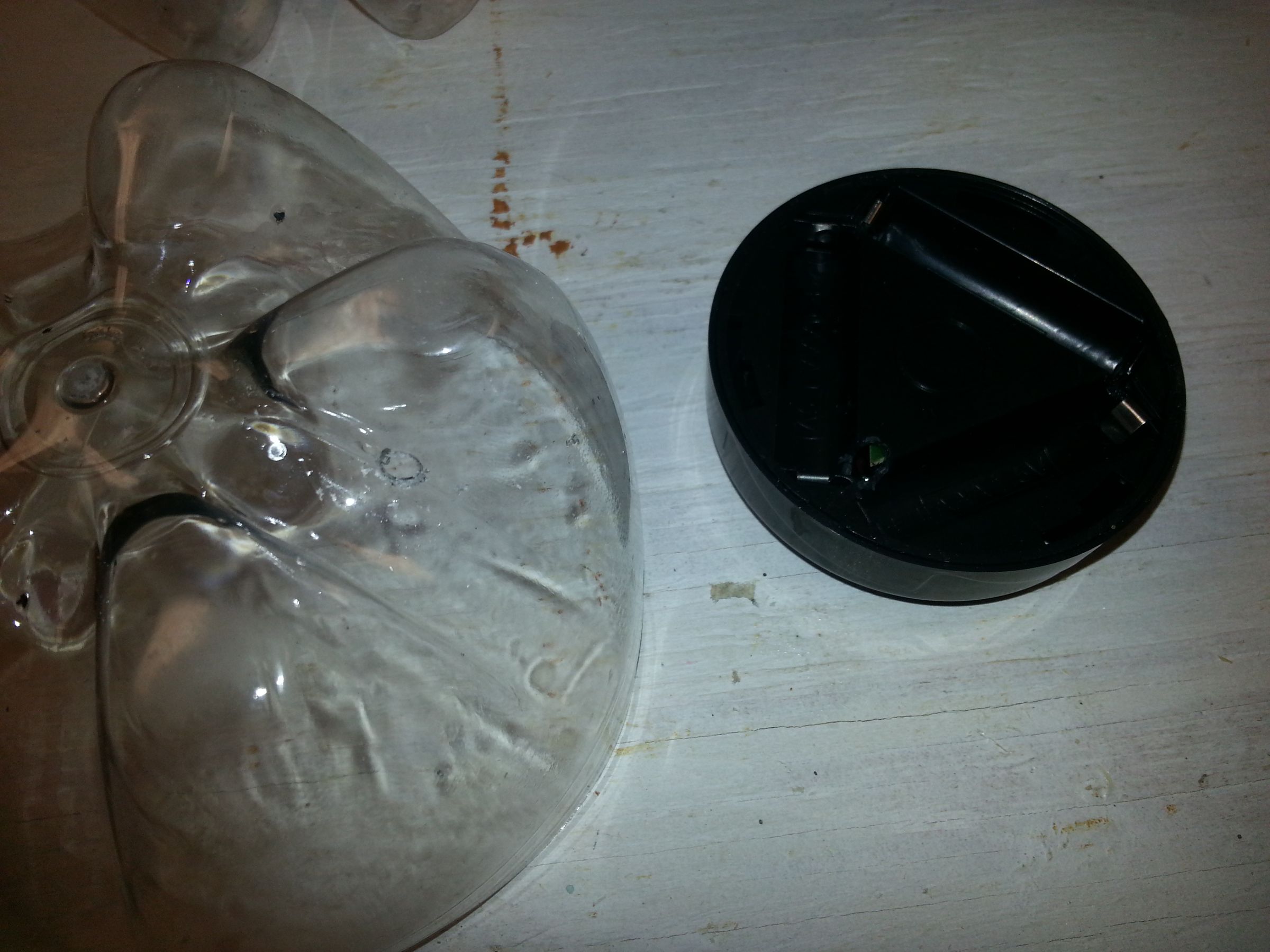 The Inescapable Stink Bug Trap : 5 Steps - Instructables