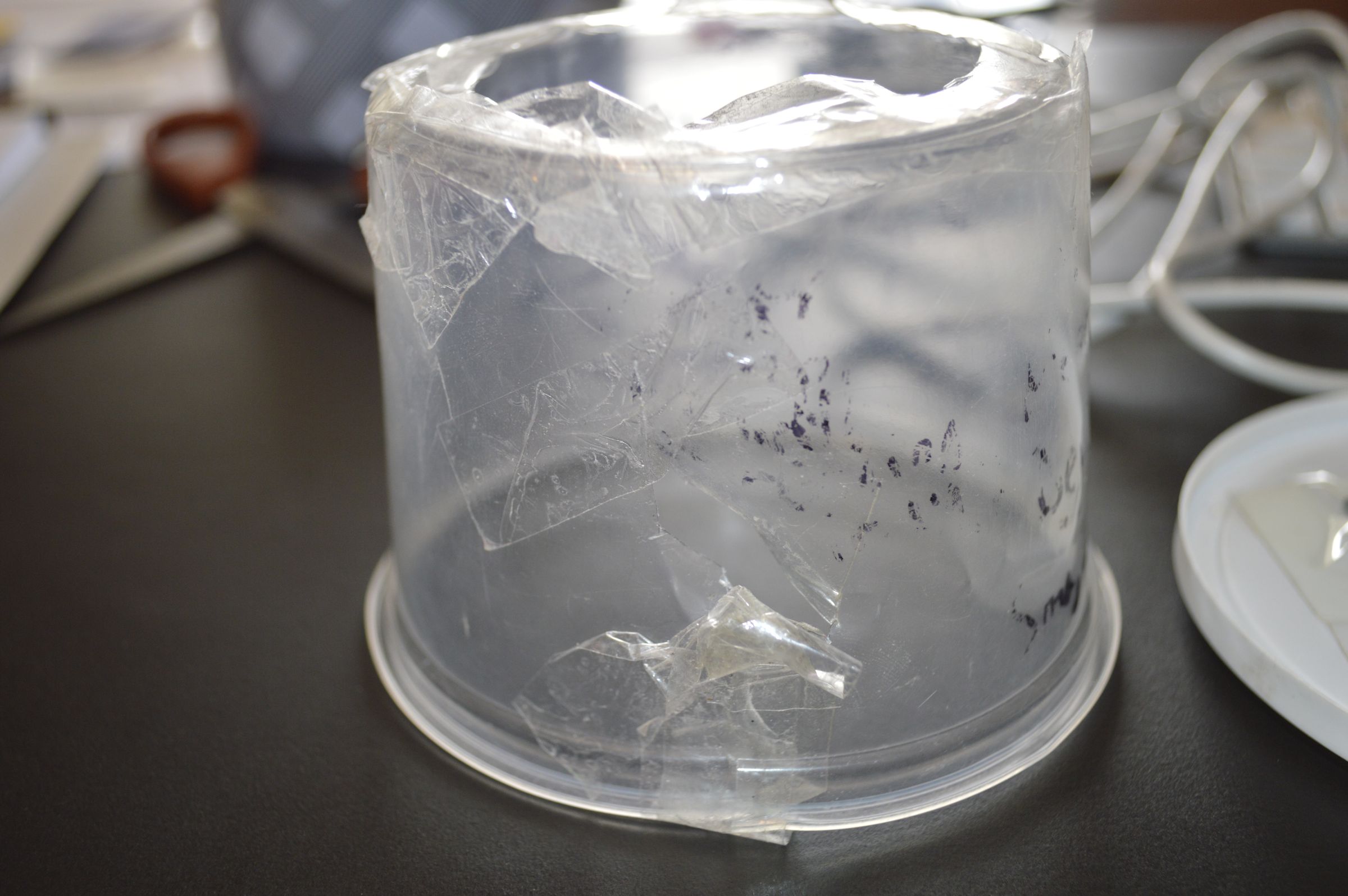 Smog Log: DIY Smog Measuring : 4 Steps (with Pictures) - Instructables