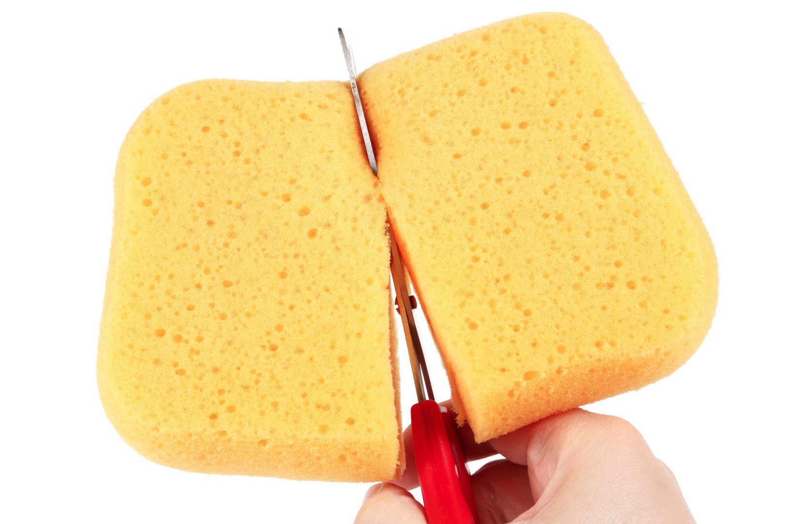 Sponge Bot : 25 Steps (with Pictures) - Instructables