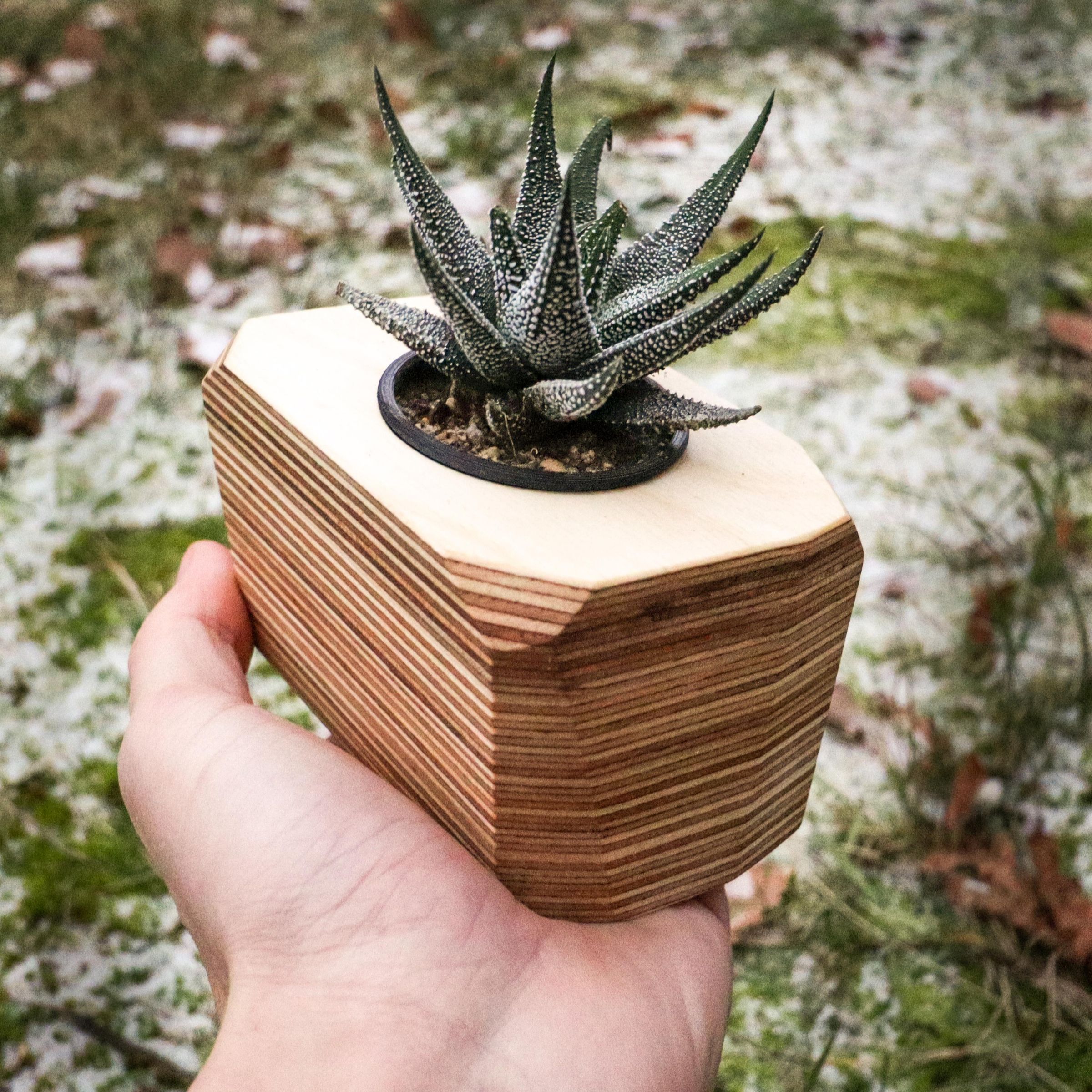 DIY Succulent Planter : 7 Steps (with Pictures) - Instructables