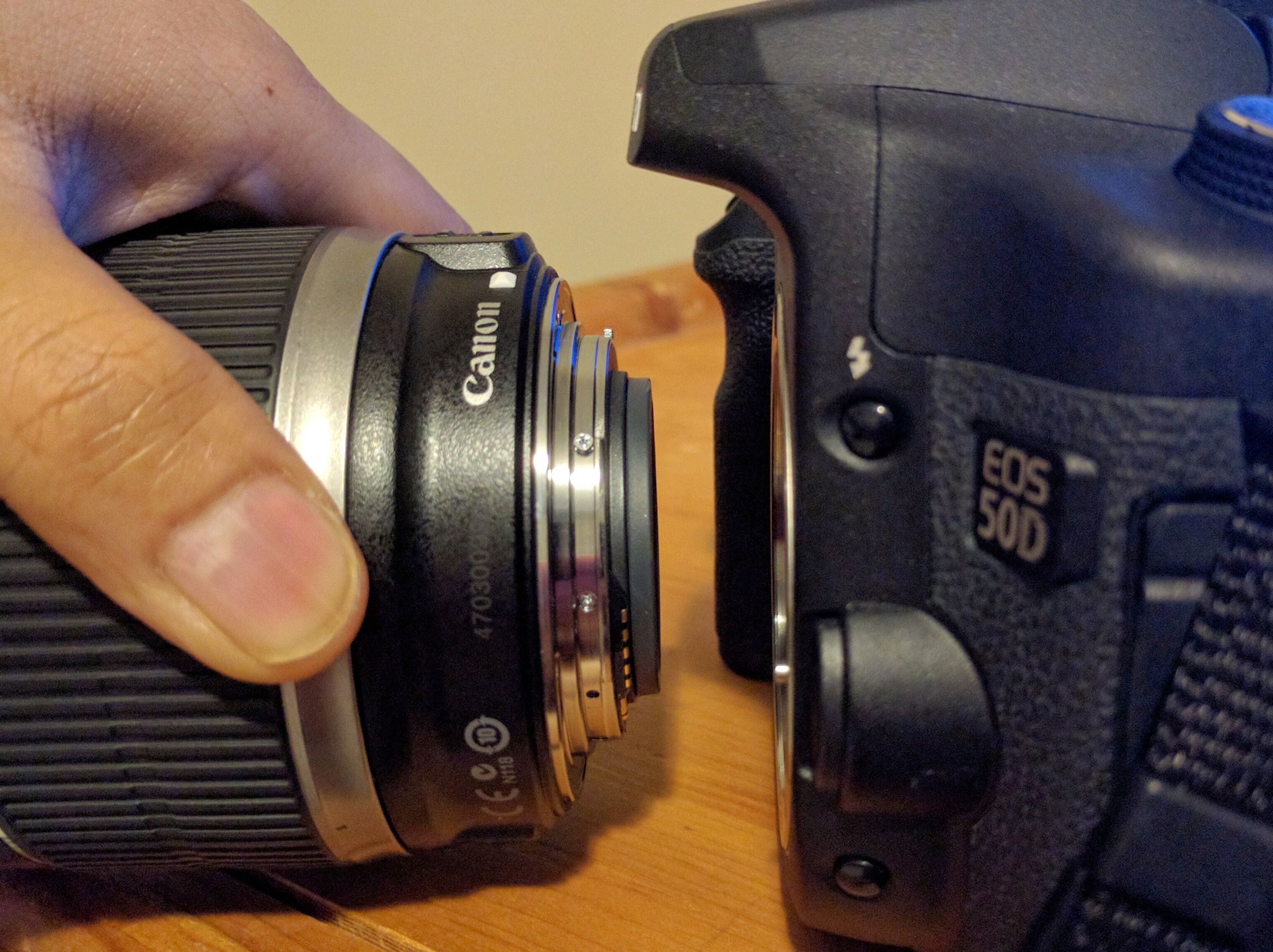 How to Take Portraits With a Canon DSLR : 10 Steps (with Pictures ...