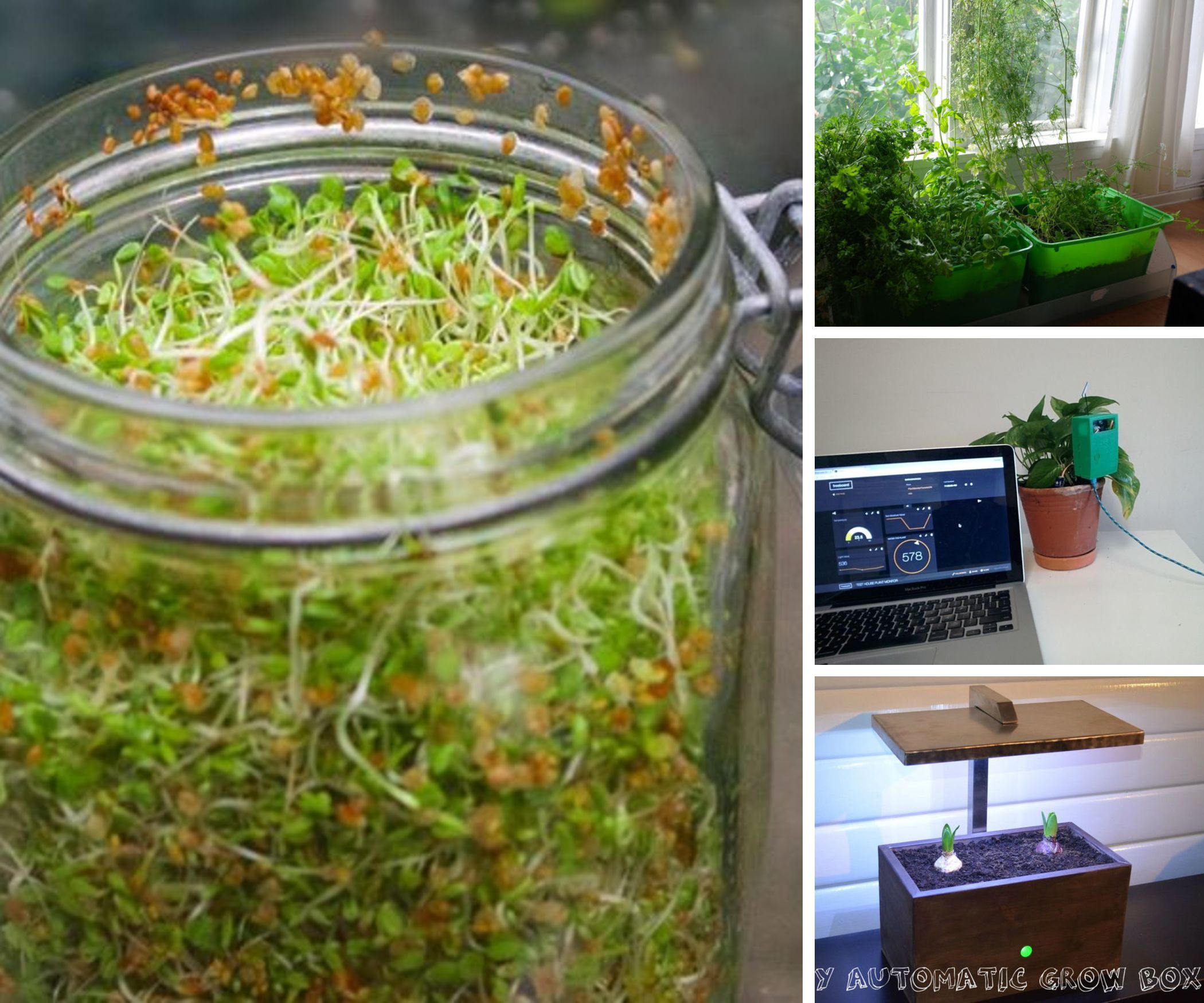 Growing Food - Instructables