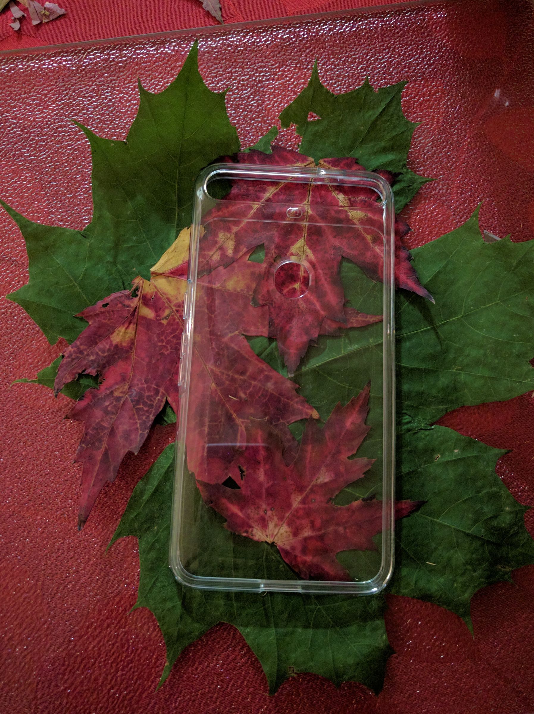 Fall Leaves Phone Case (with Pictures) - Instructables
