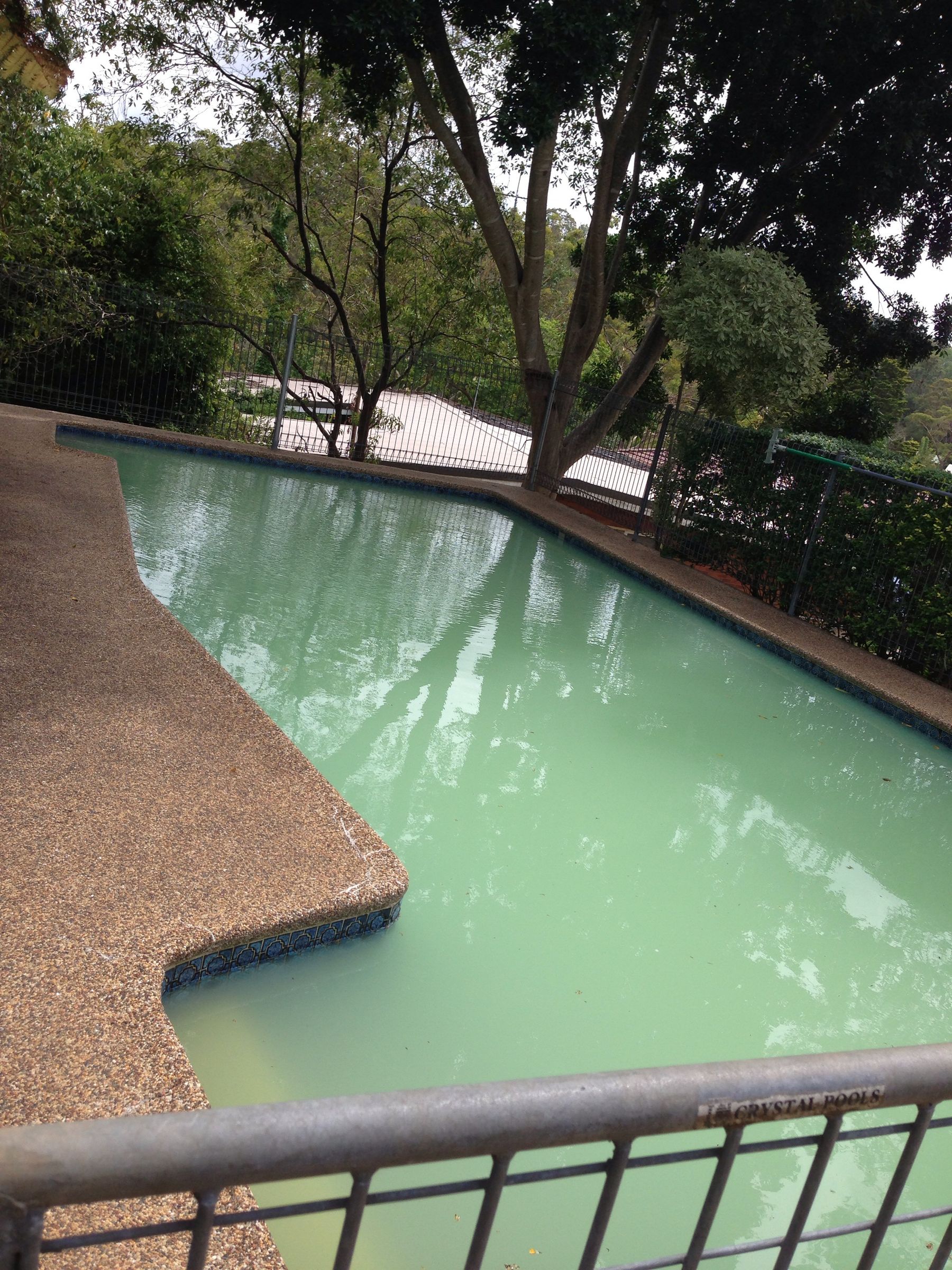 How to Turn a Green Pool to Blue : 6 Steps - Instructables