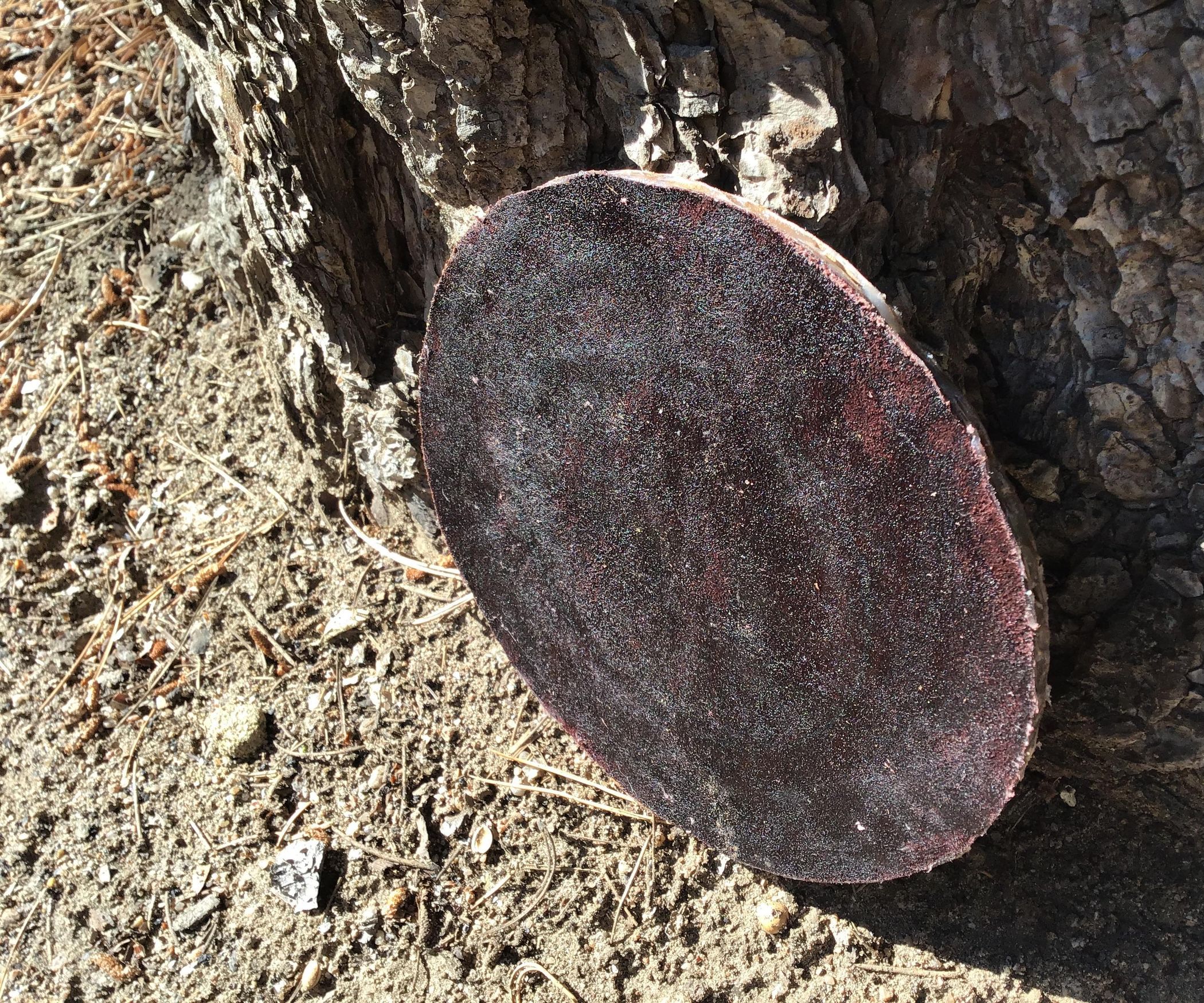 Simple Leather Frisbee : 4 Steps - Instructables