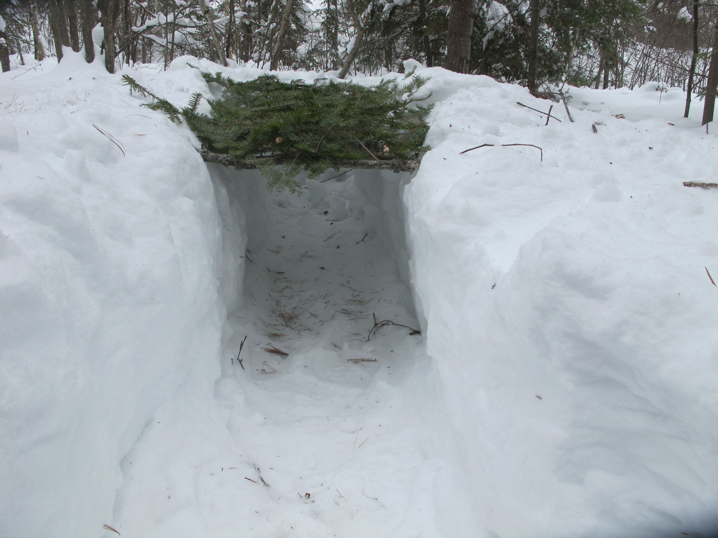 Trench Shelter : 7 Steps - Instructables
