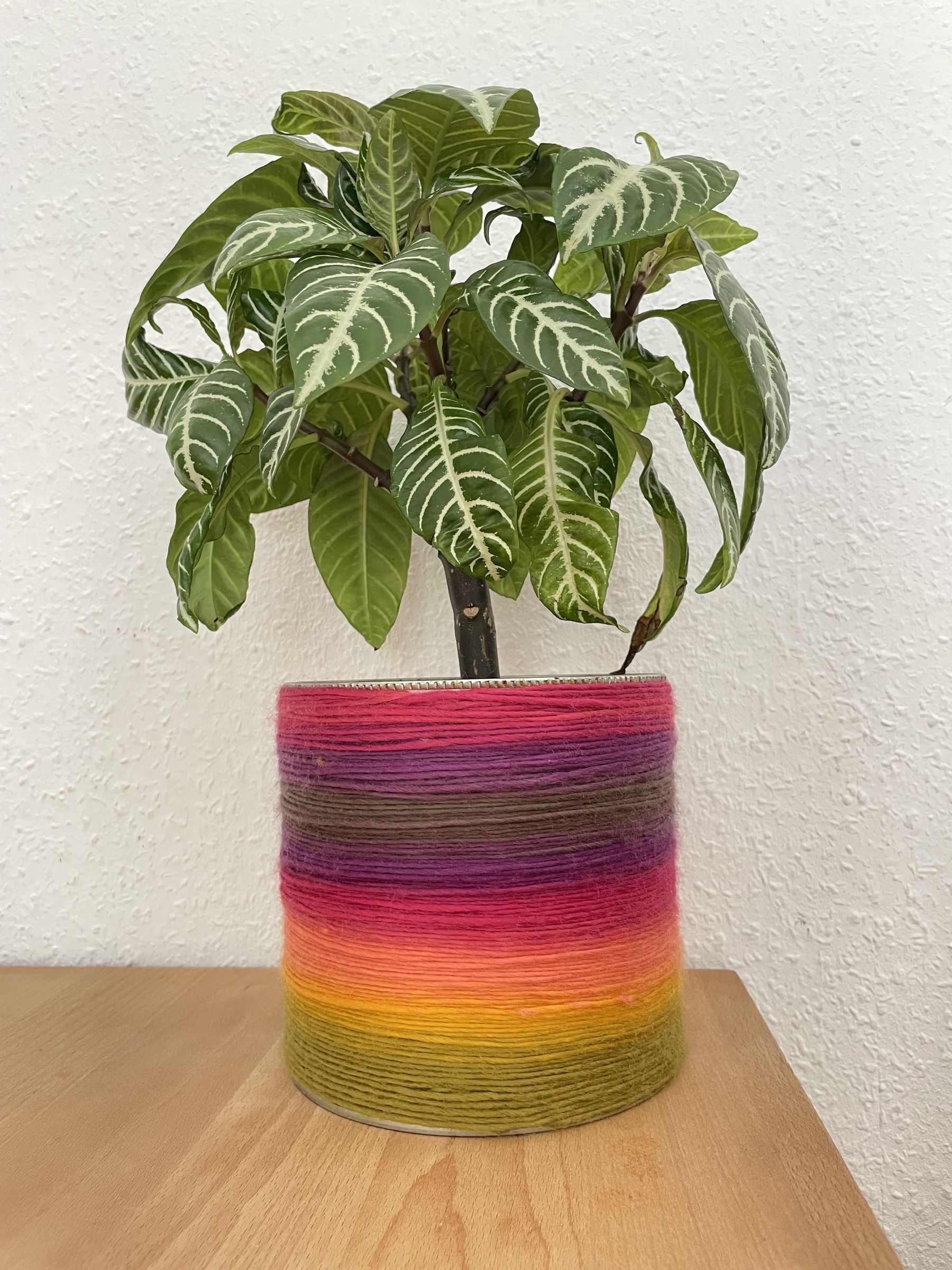 Wooly Pots - Easy Upcycling Project to Turn Tin Cans Into Beautiful ...