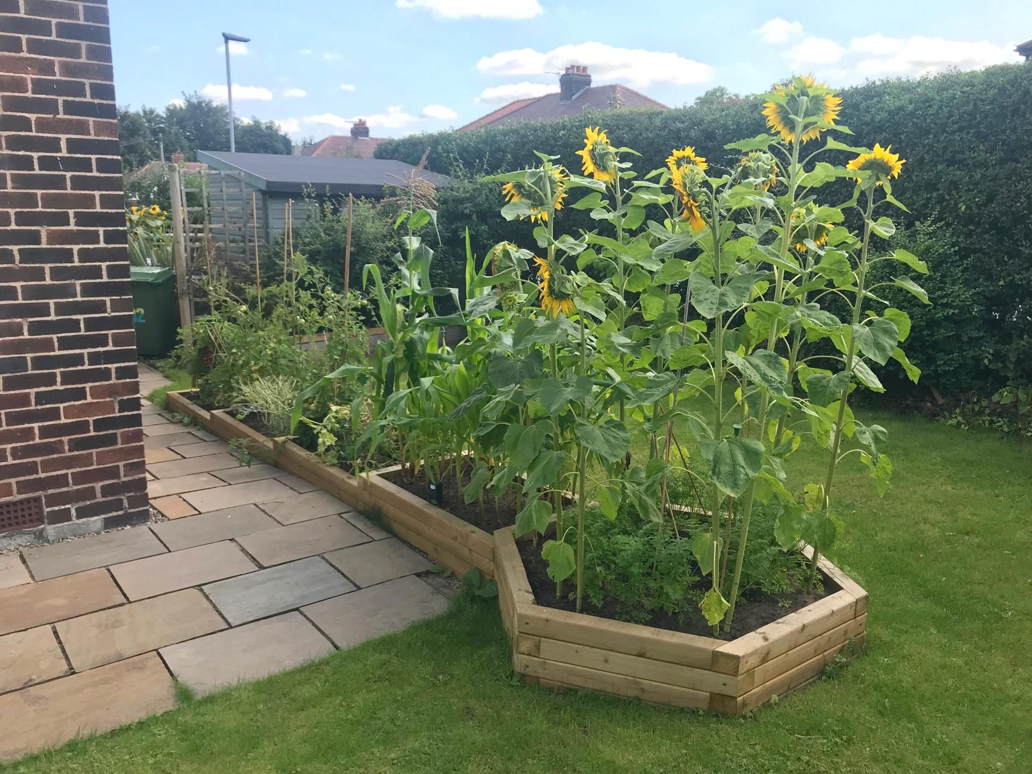 Multi Tiered Wooden Garden Vegetable Planter : 11 Steps (with Pictures ...